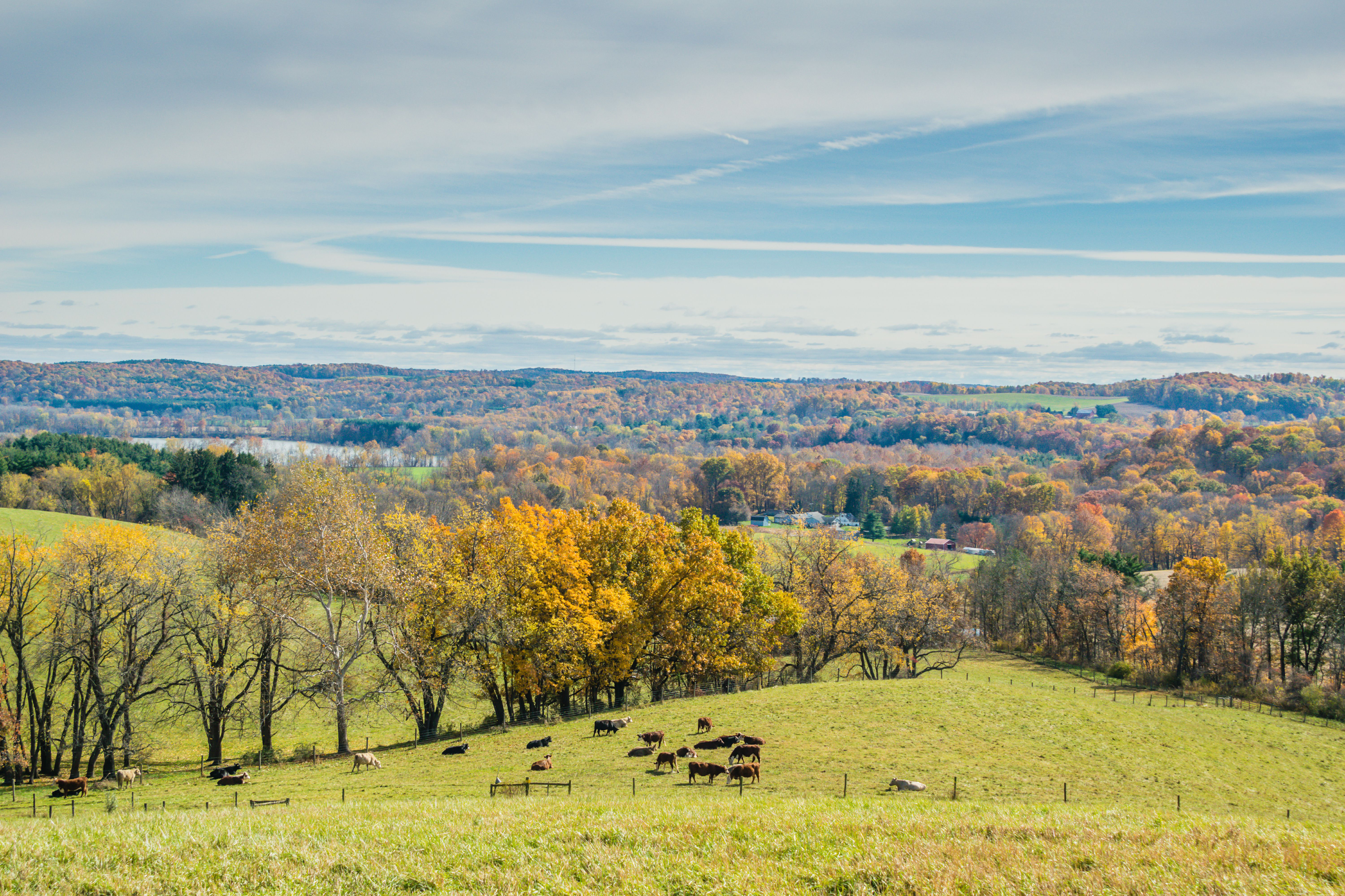 Millwood Pines Mount Jeez Overlook - Wrapped Canvas Photograph | Wayfair