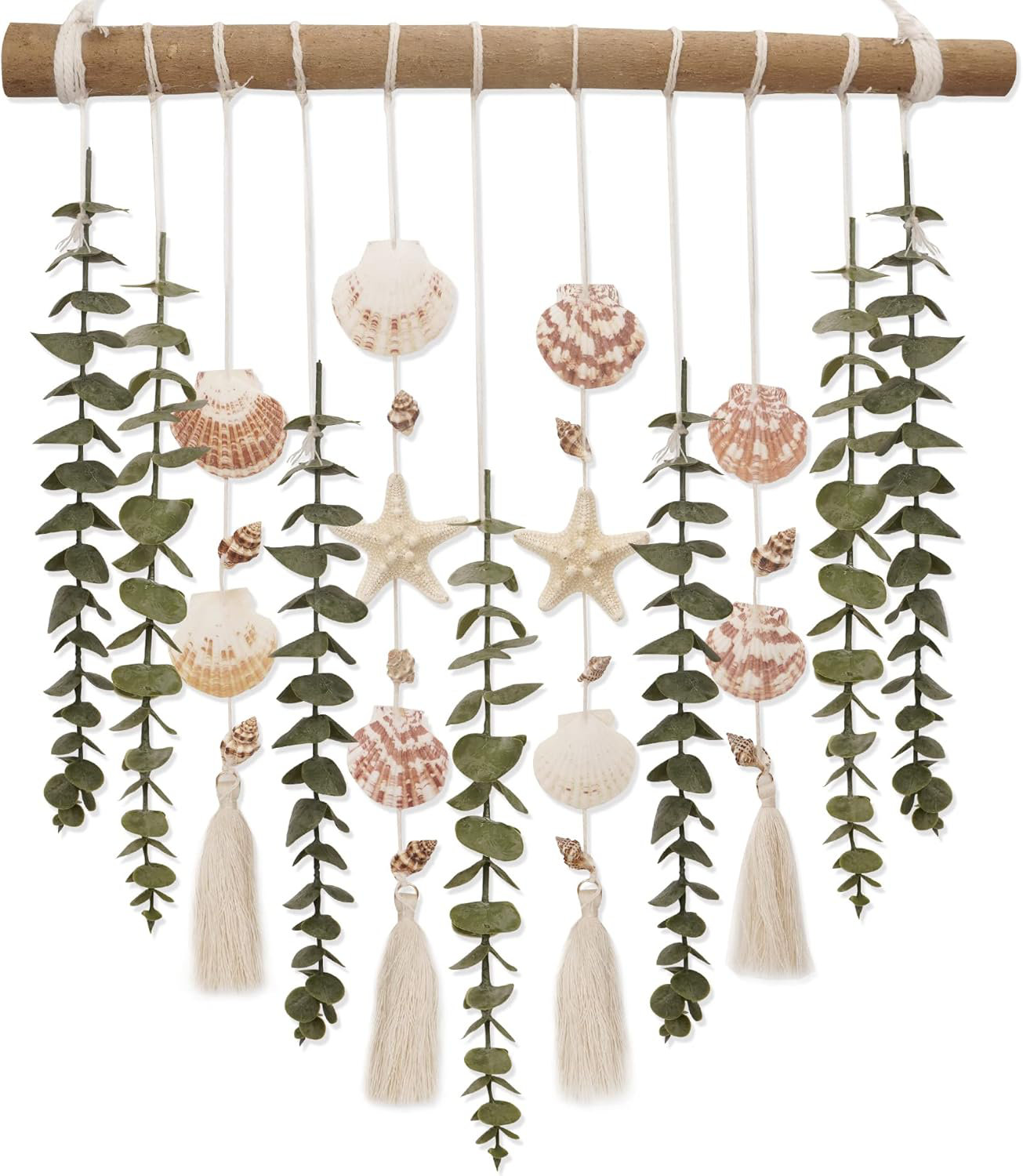 Rosecliff Heights Boho Wall Decor Artificial Eucalyptus, Seashell on ...
