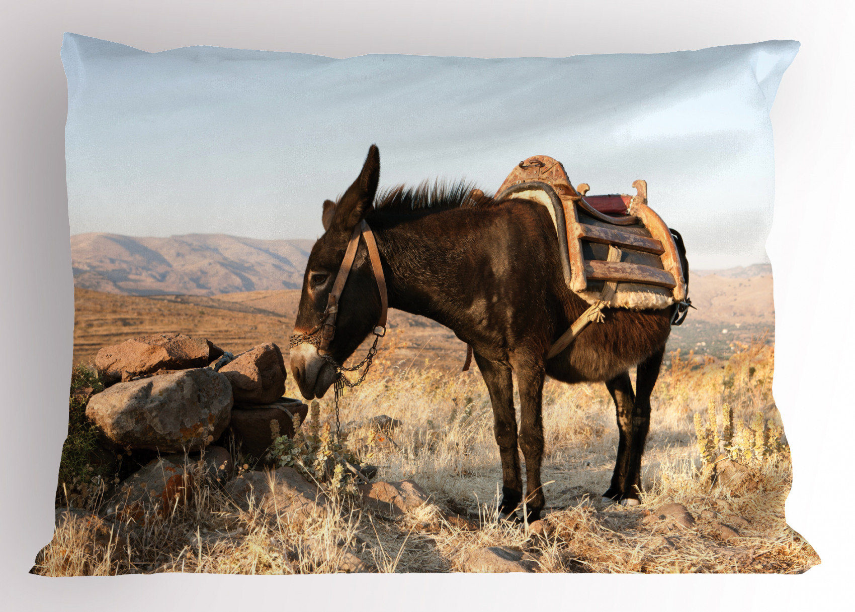 Ambesonne Donkey Sham | Wayfair