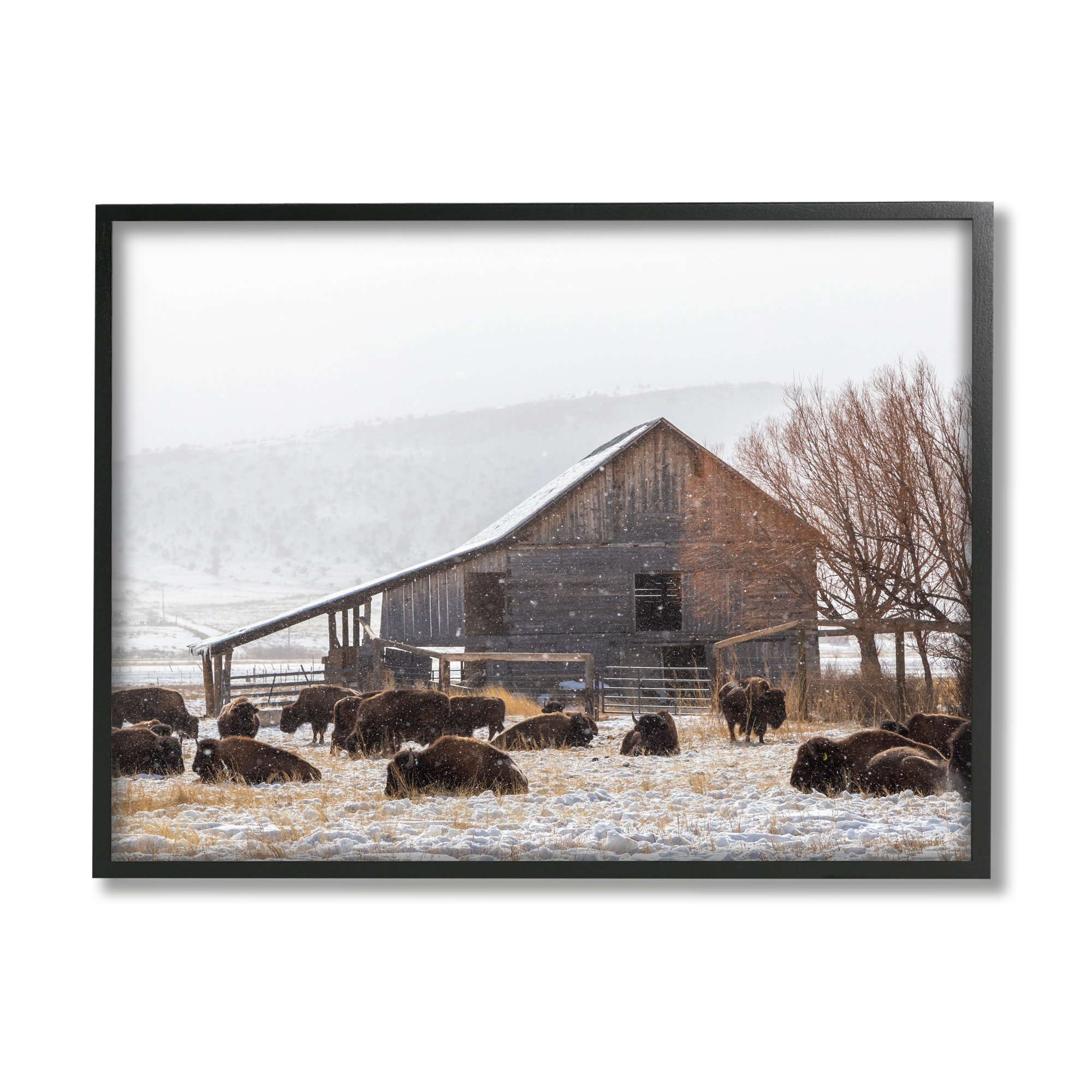 Stupell Industries Snow Dusted Barn Buffalo Bison Rural Farm Giclee ...