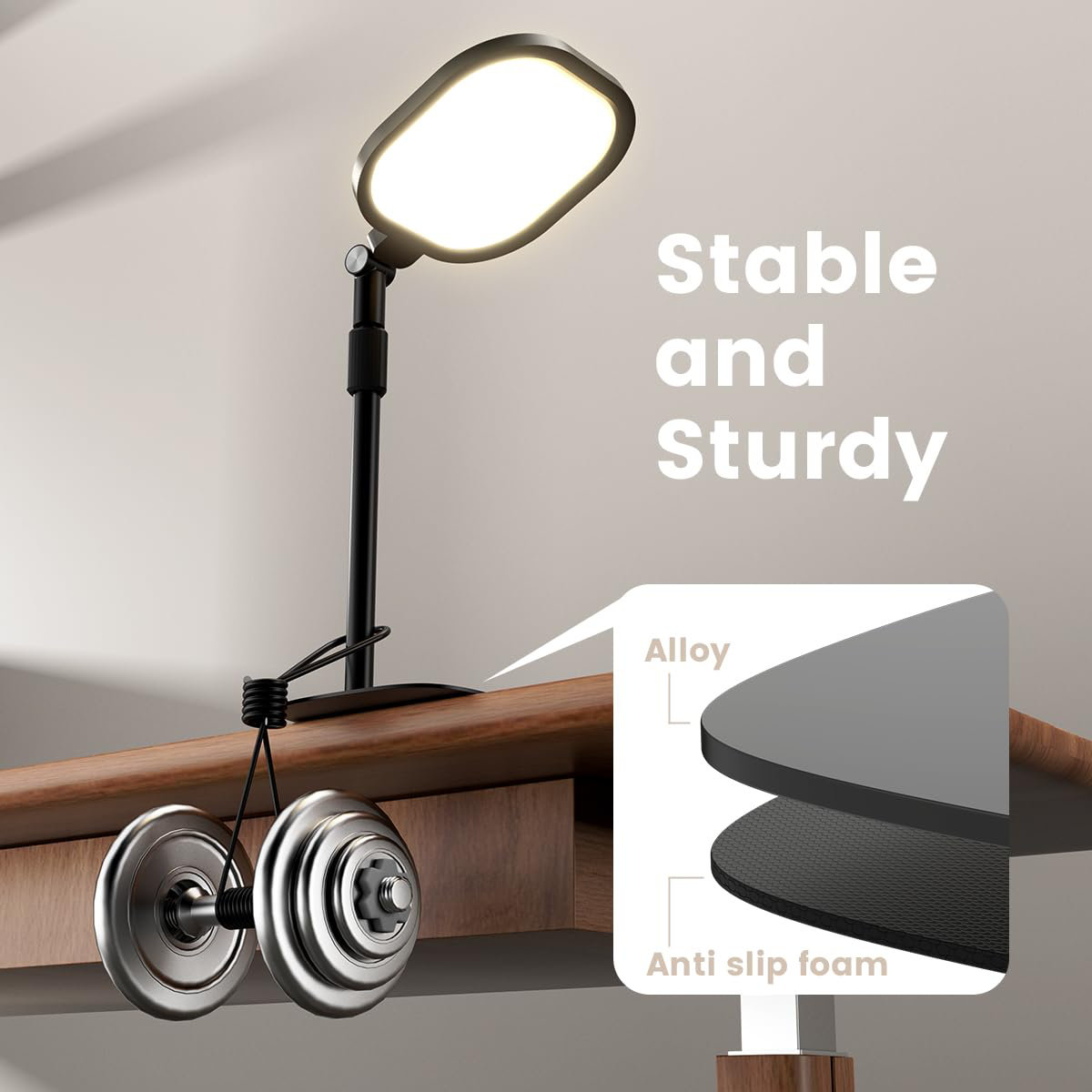 Ivy Bronx Video Conference Lighting For Zoom Meeting, Desk Lamps For ...