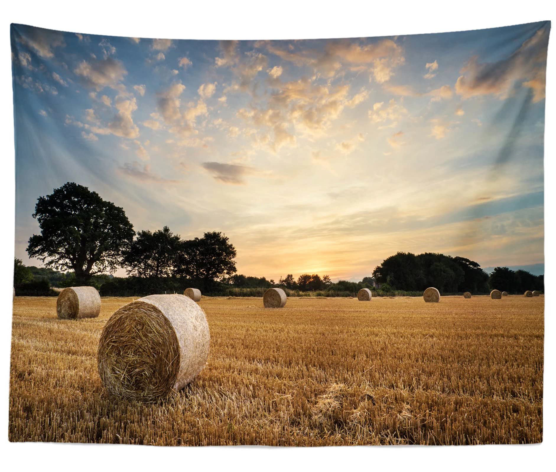 Ophelia & Co. 8x6ft Fabric Fall Wheat Field Backdrop – Harvest ...