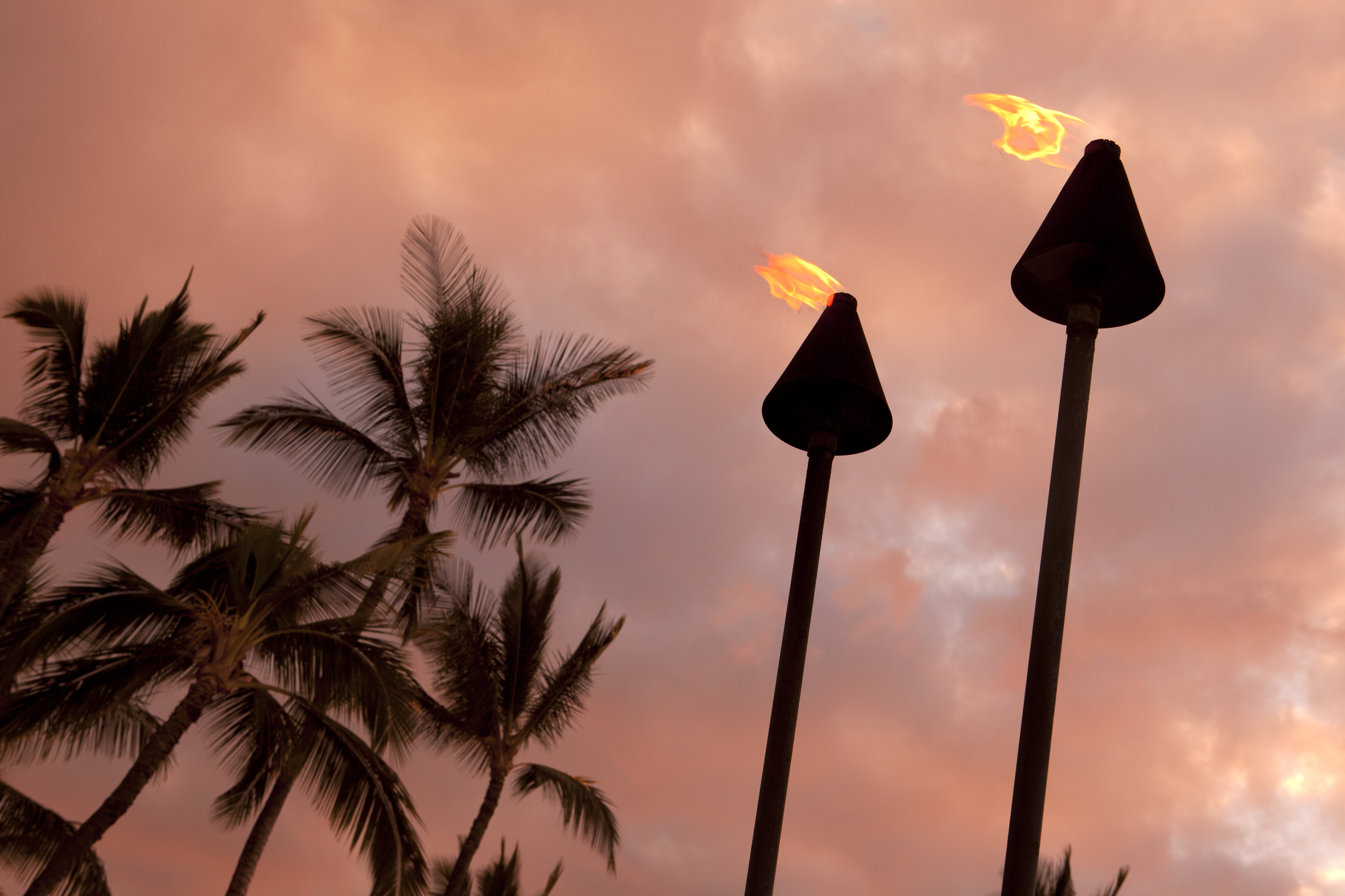 Ebern Designs Tiki Torches by Dny59 | Wayfair