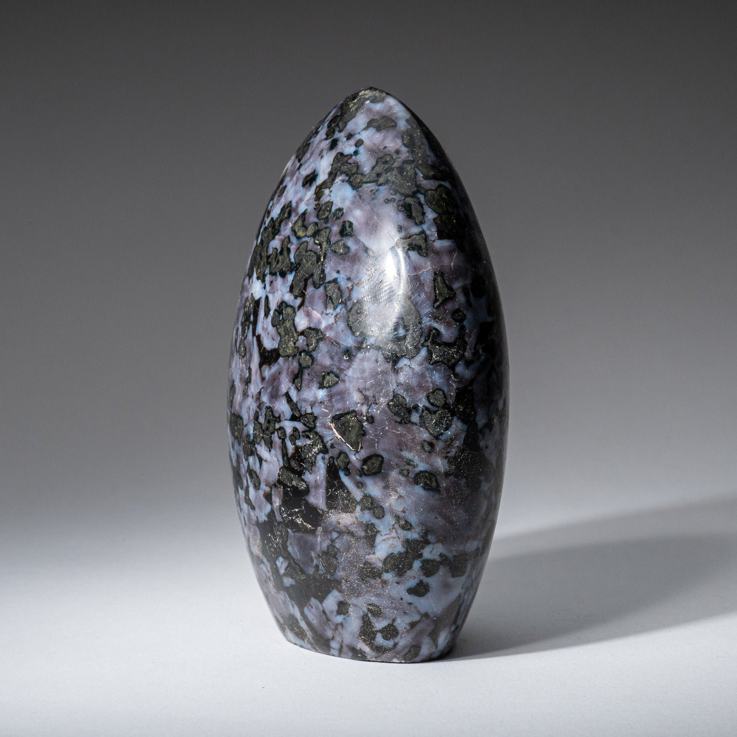 Astro Gallery of Gems Genuine Polished Indigo Gabbro (Medium) Freeform ...