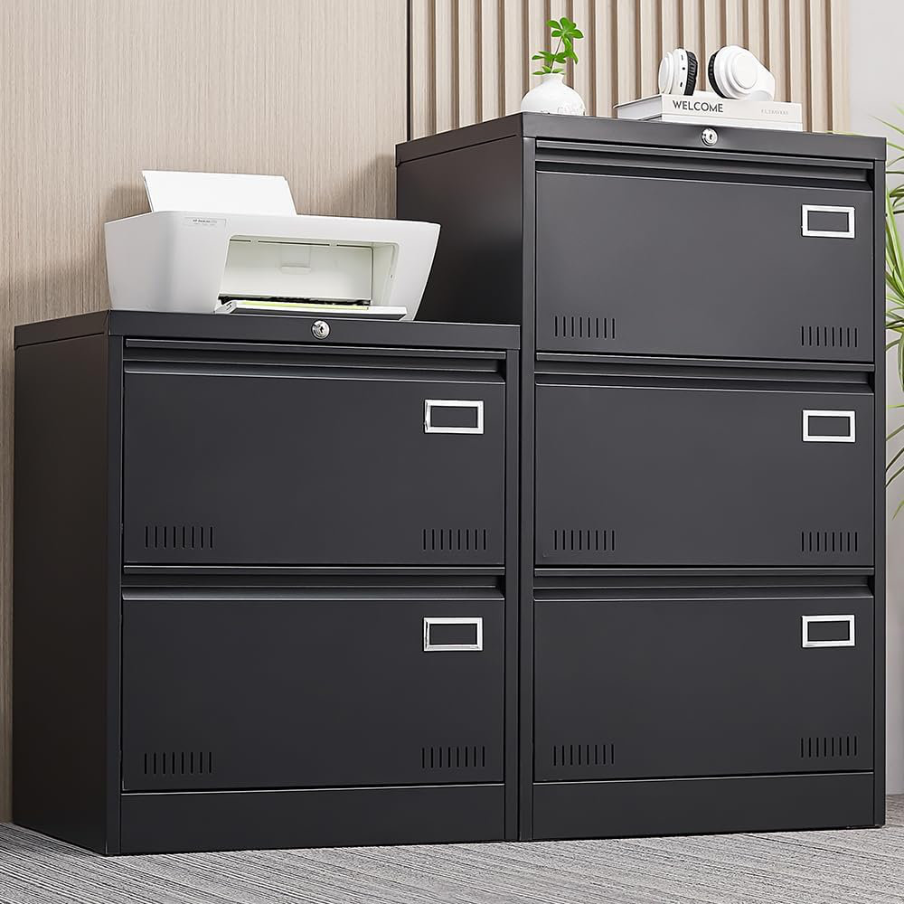 Inbox Zero 2 Drawer Lateral File Cabinet With Lock And Card Holder ...