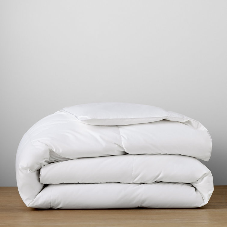 Terron Down Extra Plush Duvet Insert & Reviews | Joss & Main