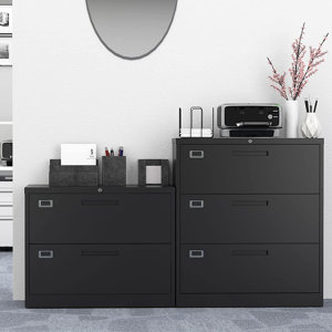 Latitude Run® 2-Drawer Lateral Filing Cabinet & Reviews | Wayfair