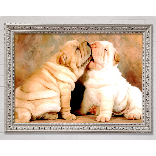 Bright Star Shar Pei Puppies - Single Picture Frame Print | Wayfair.co.uk