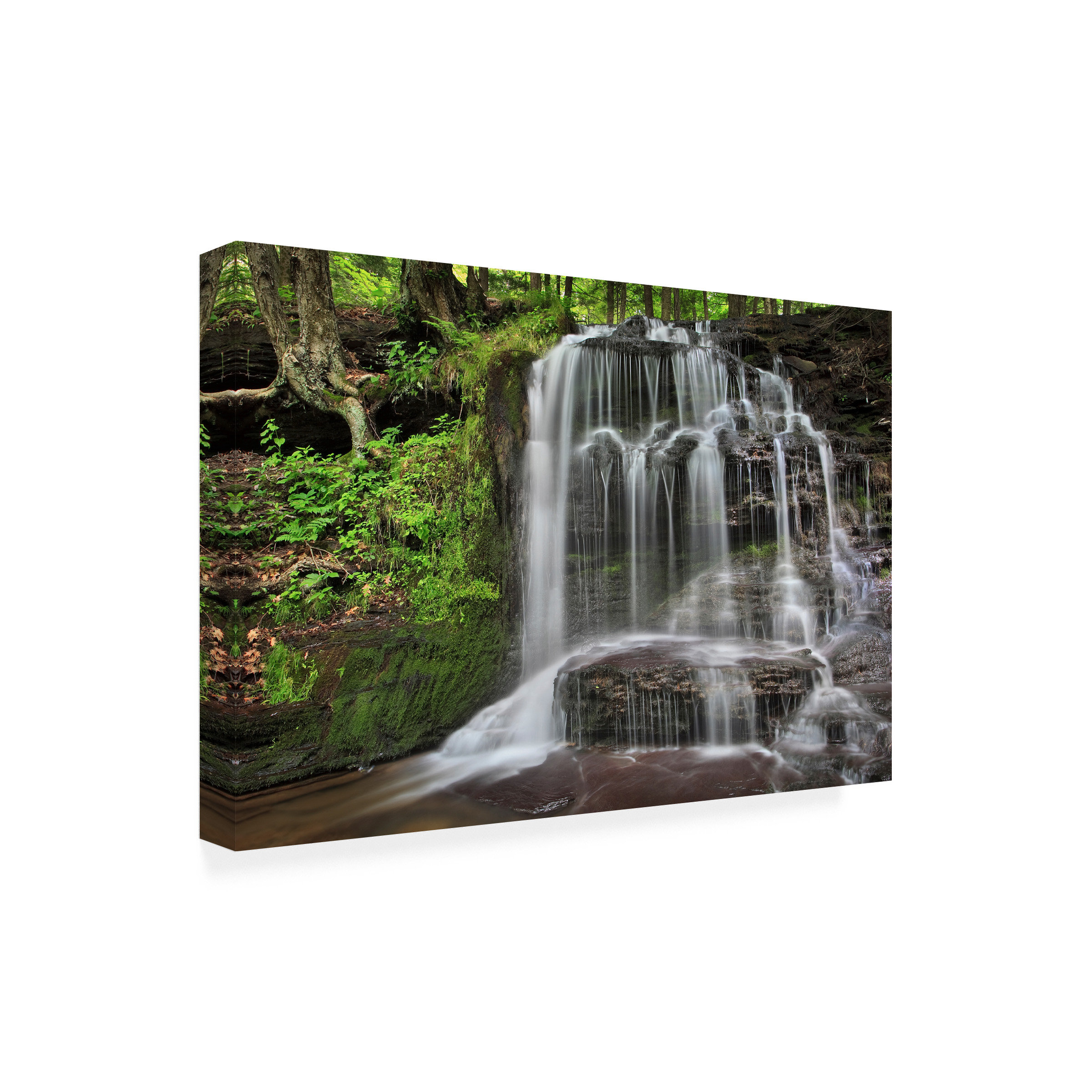 Millwood Pines Nayshawn Gunn Brooks Falls On Canvas by Patrick Zephyr ...