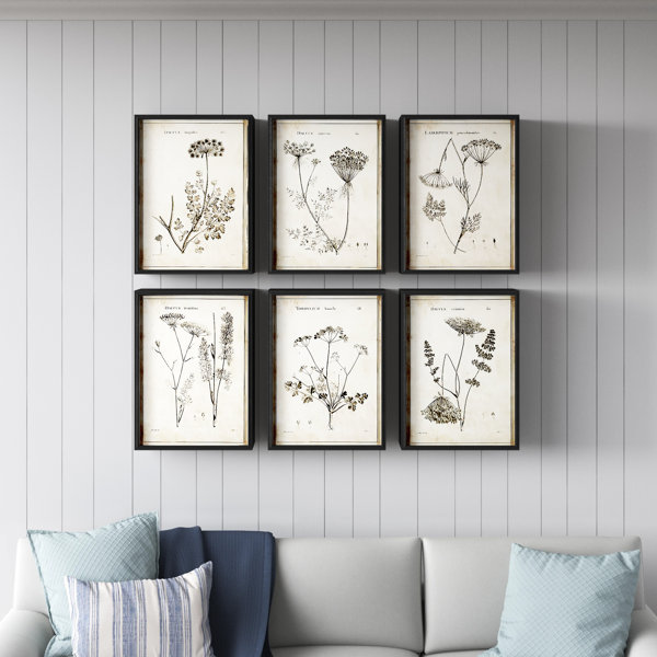 Birch Lane™ Bridgeton Wild Flower - 6 Piece Picture Frame Print Set ...