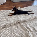 Wade Logan® Charvik Indoor Rug & Reviews - Wayfair Canada