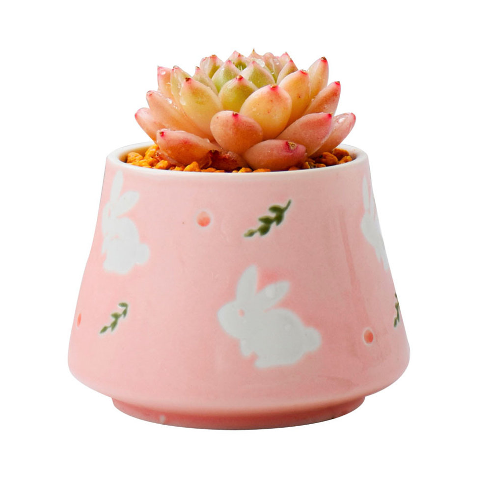 Harper Orchard Aarran Ceramic Pot Planter | Wayfair
