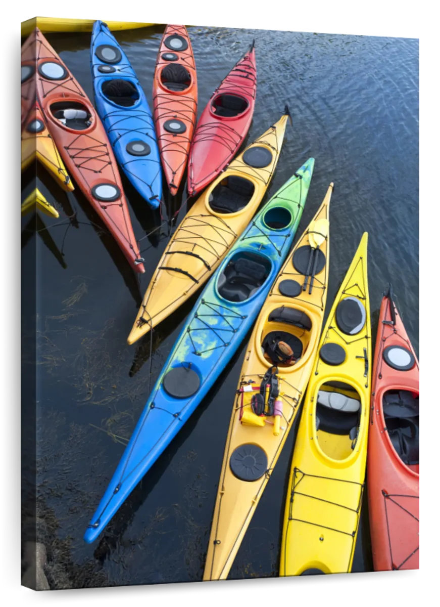 Ebern Designs Sireci Colorful Docked Kayaks | Wayfair