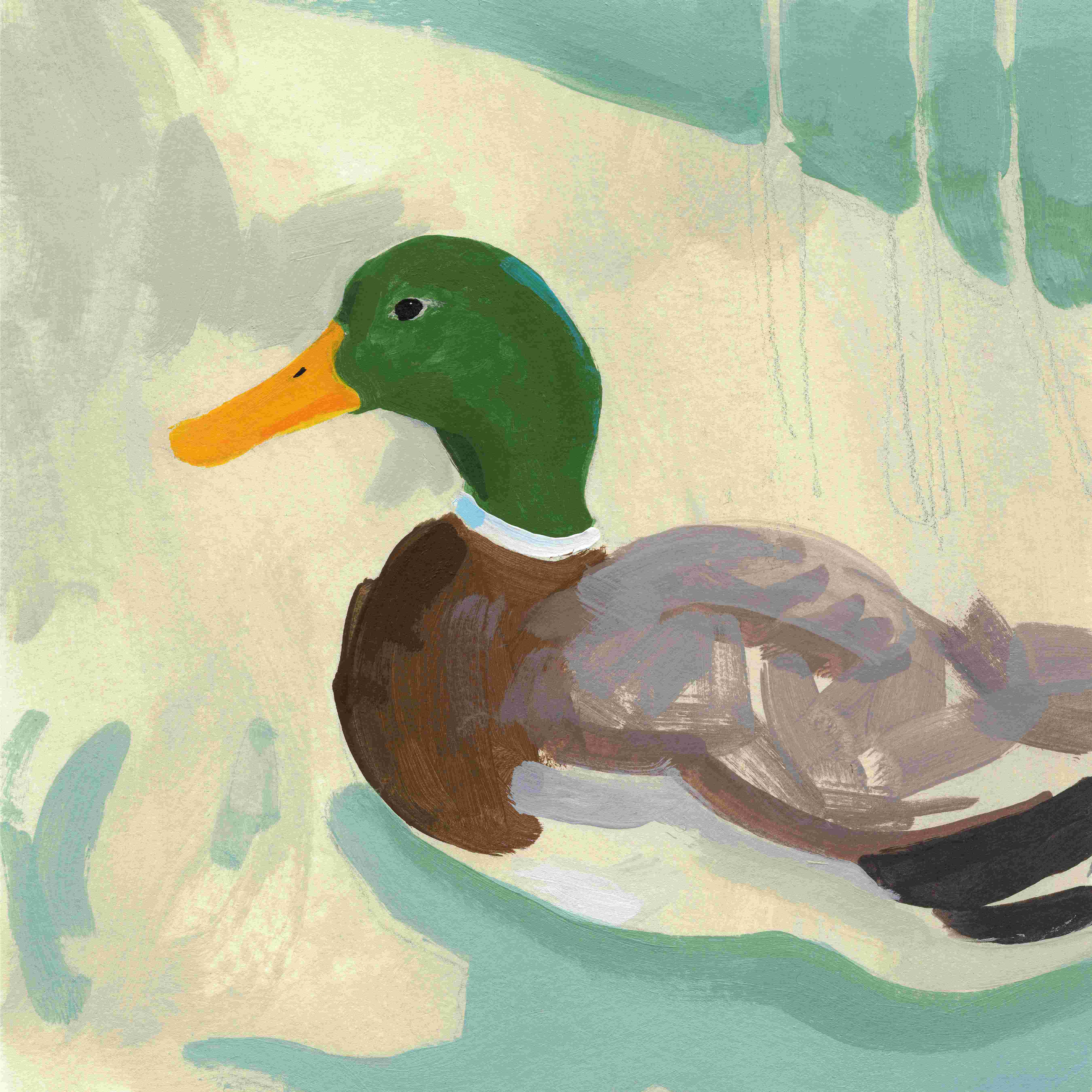 August Grove® Bathing Mallard II by Jacob Green - Wrapped Canvas ...