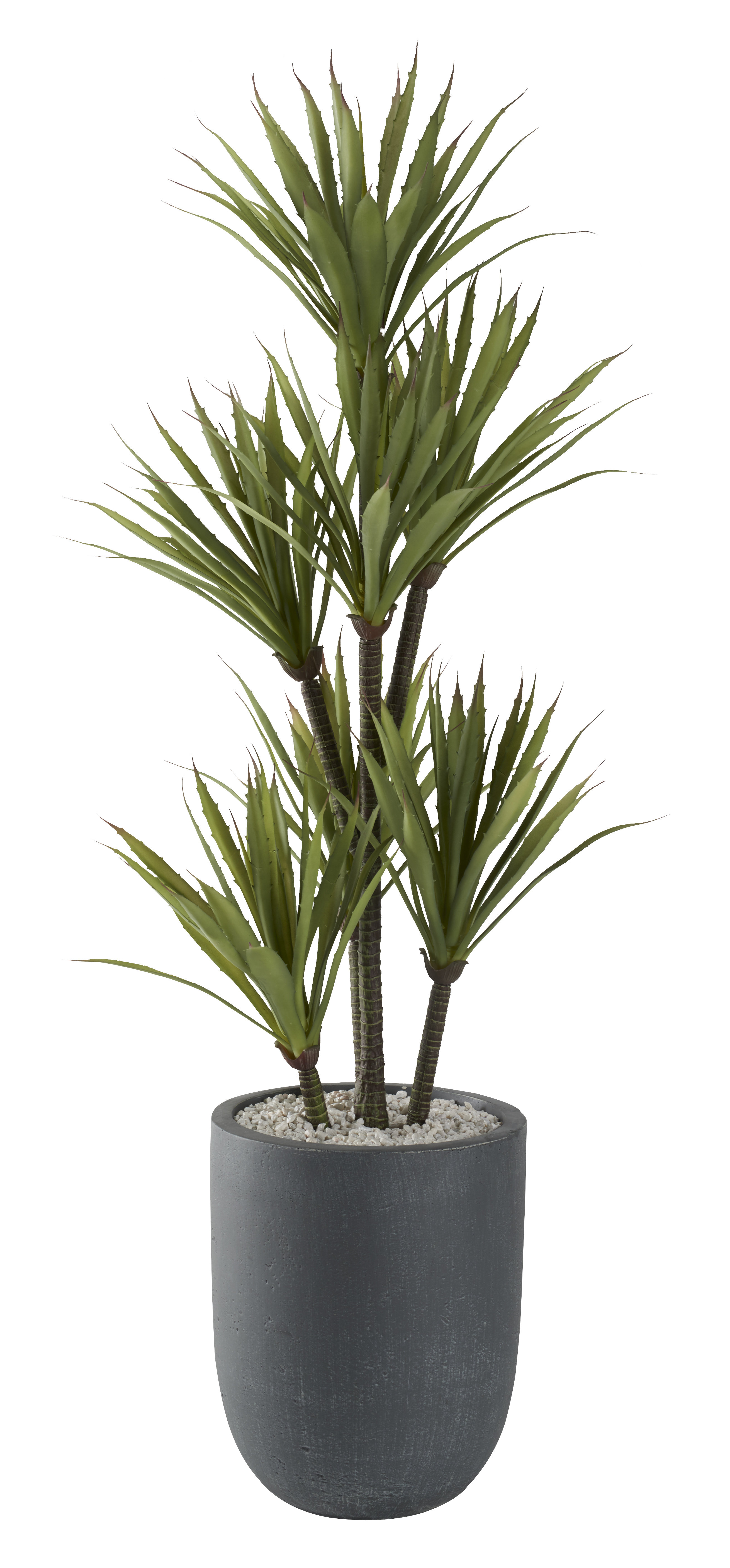 Primrue 48" Yucca Tree In Round Planter | Wayfair