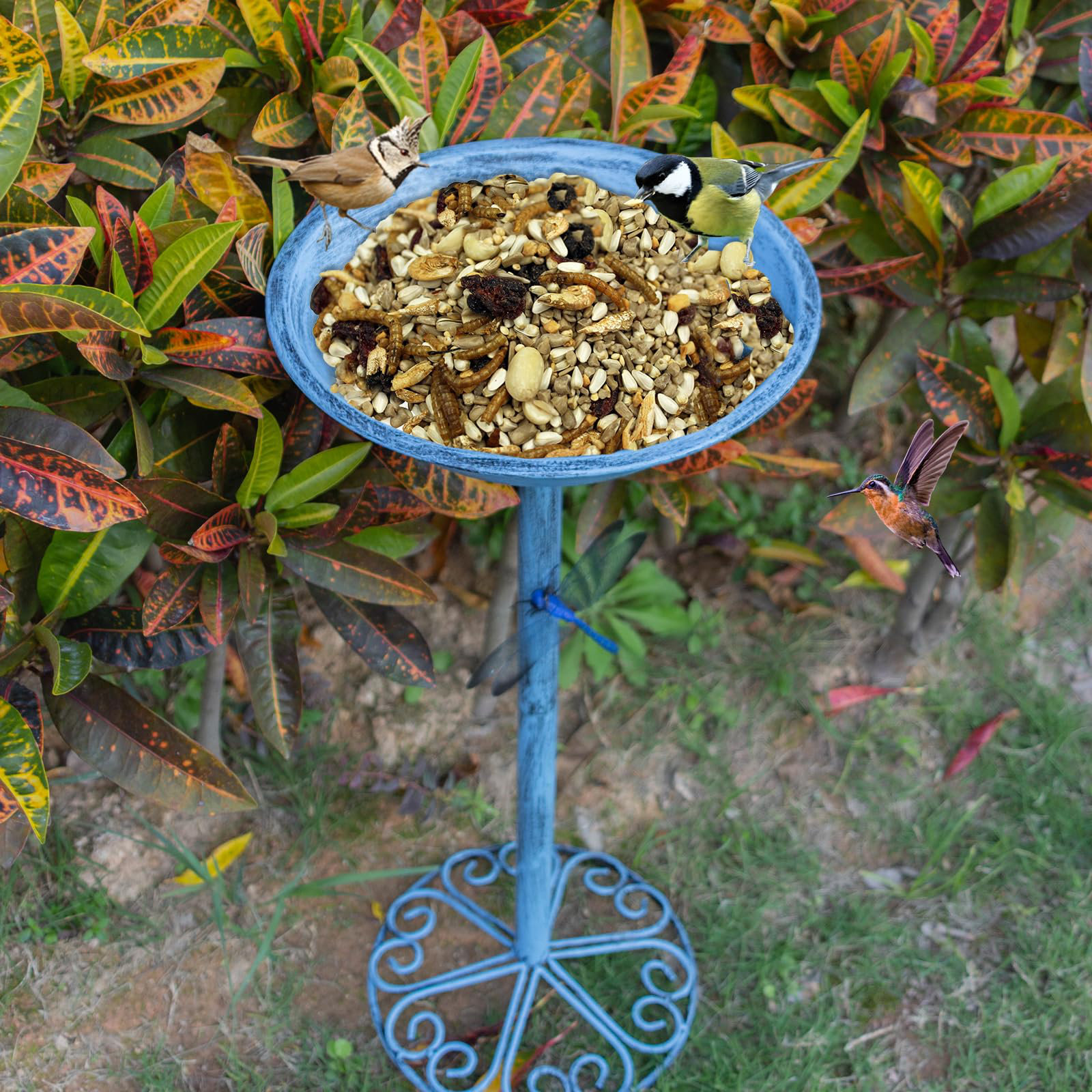 August Grove® Outdoor Stand Bird Bath, 12" Garden Feeder, Metal Bird ...