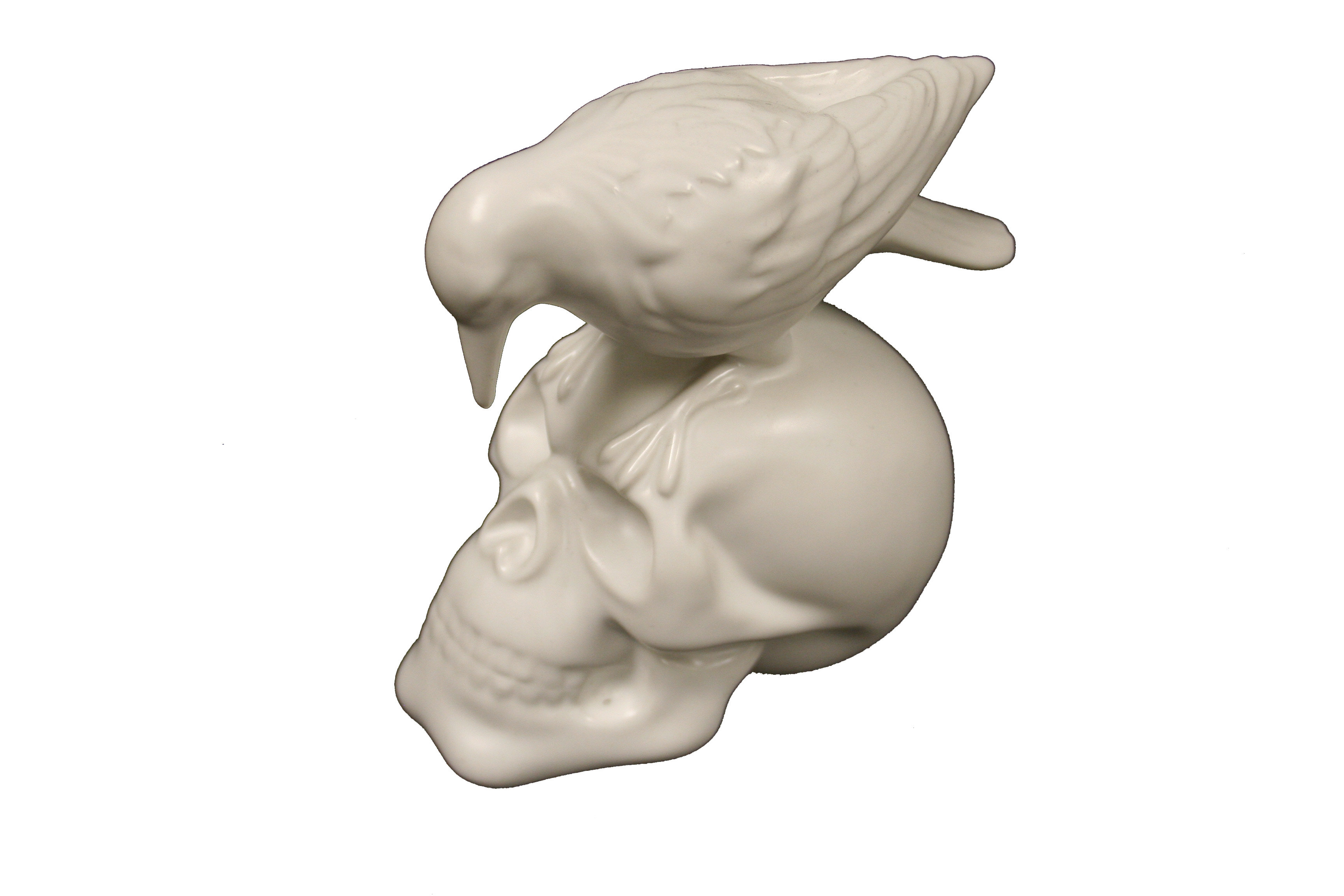 The Holiday Aisle® Ceramic Crow Skull | Wayfair
