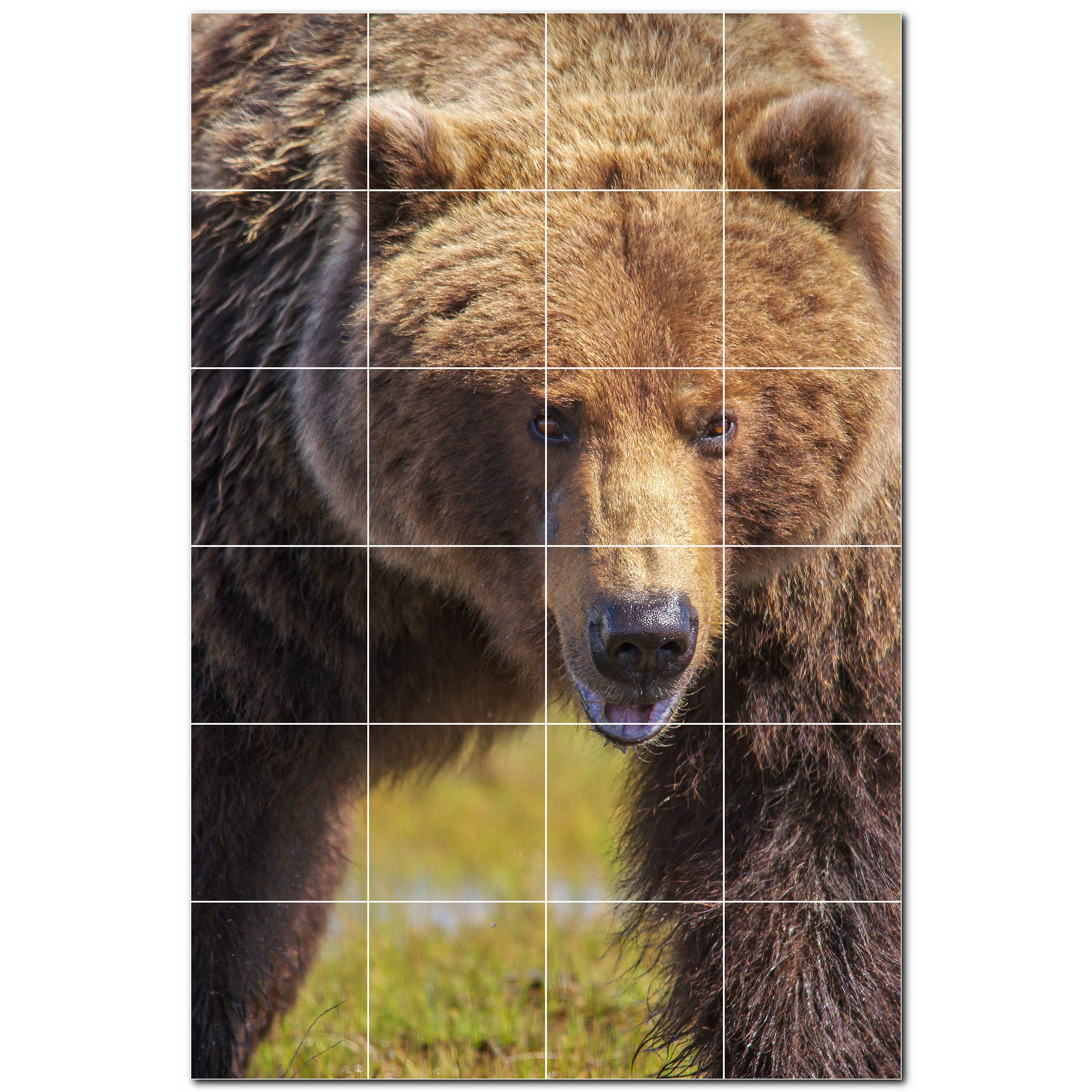 Picture-Tiles.com Bear Photo 12'' x 12'' Satin Ceramic Decorative Mural ...
