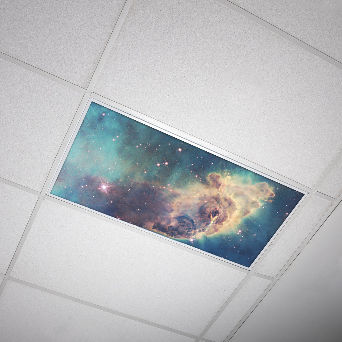 Octo Lights Astronomy Fluorescent Light Covers for Ceiling Lights - For ...