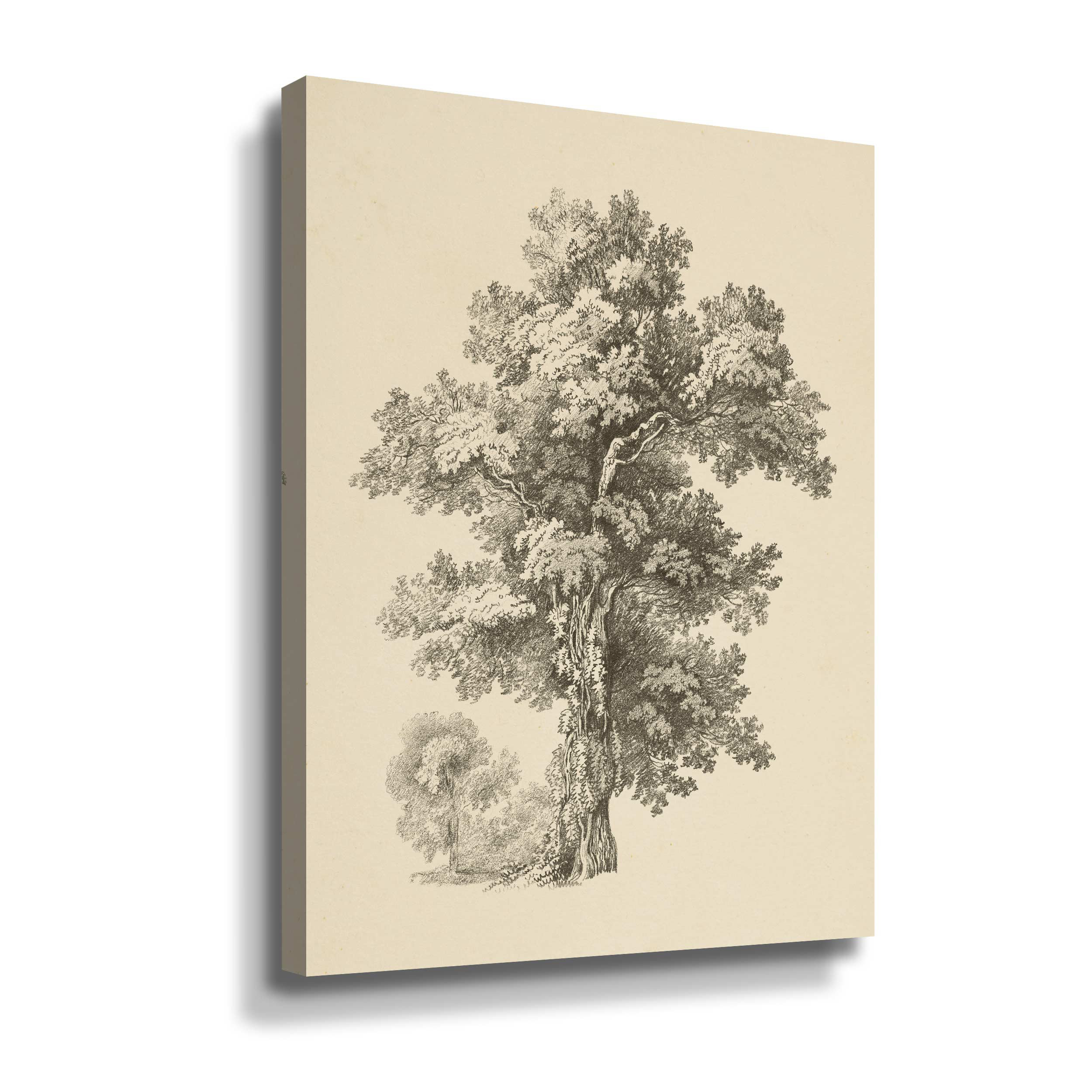 Winston Porter Tree Study I Dark Gallery - Wayfair Canada
