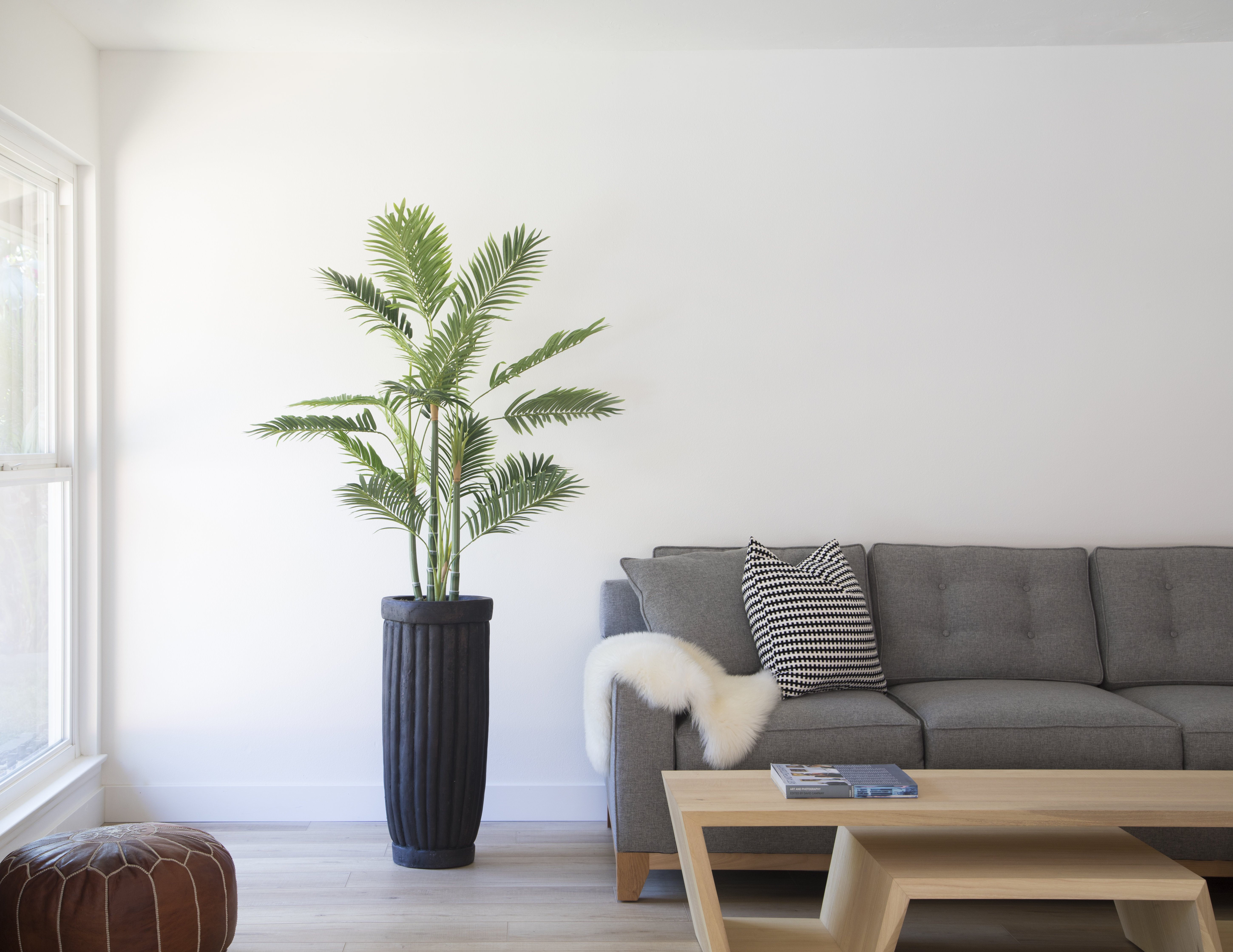 Primrue Artificial Palm Tree In A Square Beige Fiberstone Planter ...