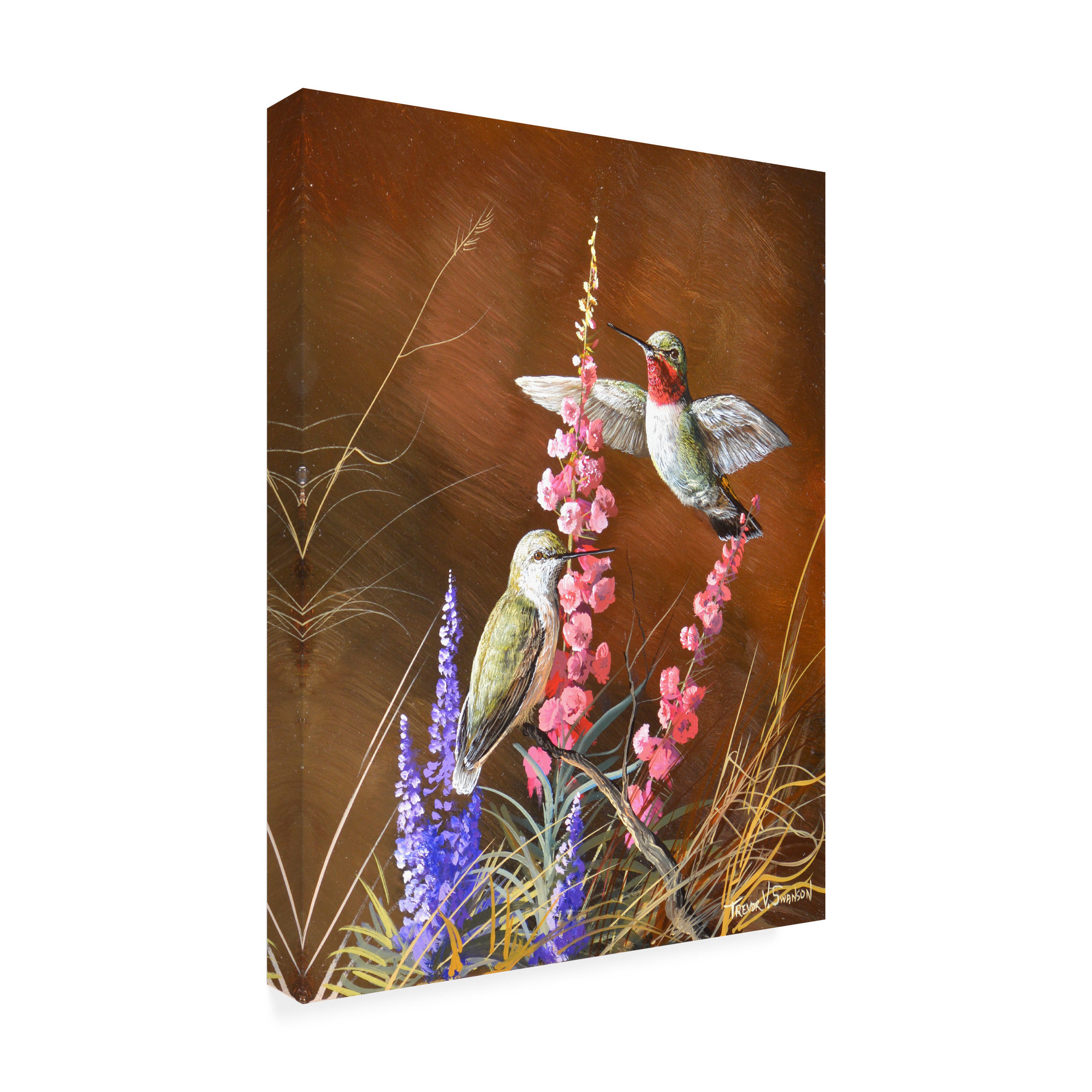 Winston Porter Trevor V. Swanson 'Spring Visitors' Canvas Art - Wayfair ...