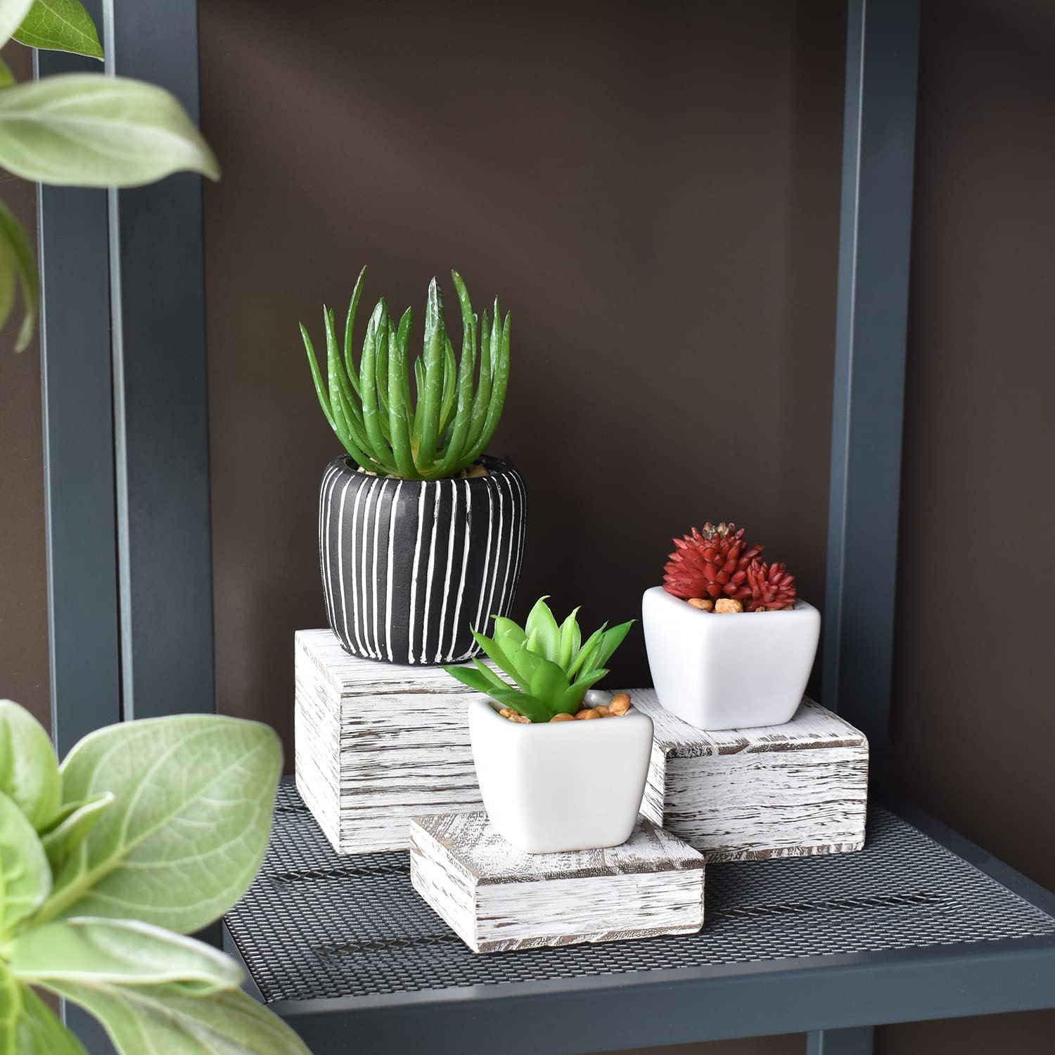 Ikee Design Wooden 3 Pcs Square Risers for Display - Wayfair Canada