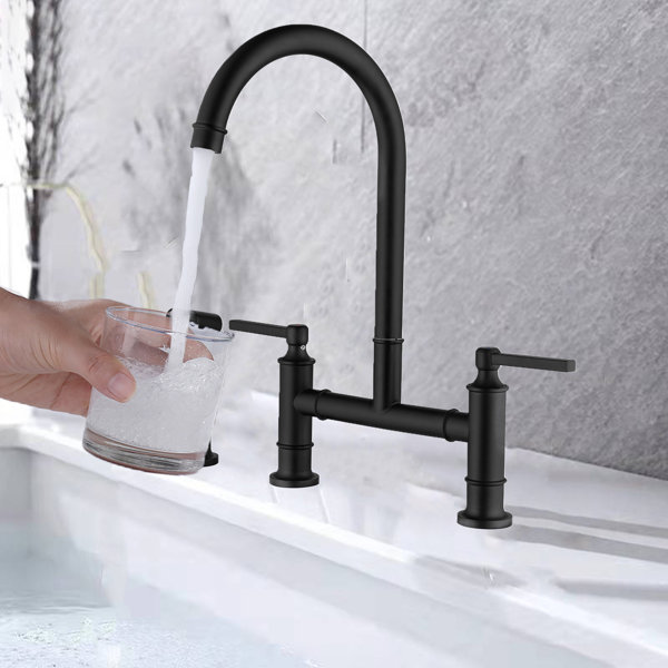 Selected Bridge Double Handles Kitchen Faucet With Side Spray & Reviews ...