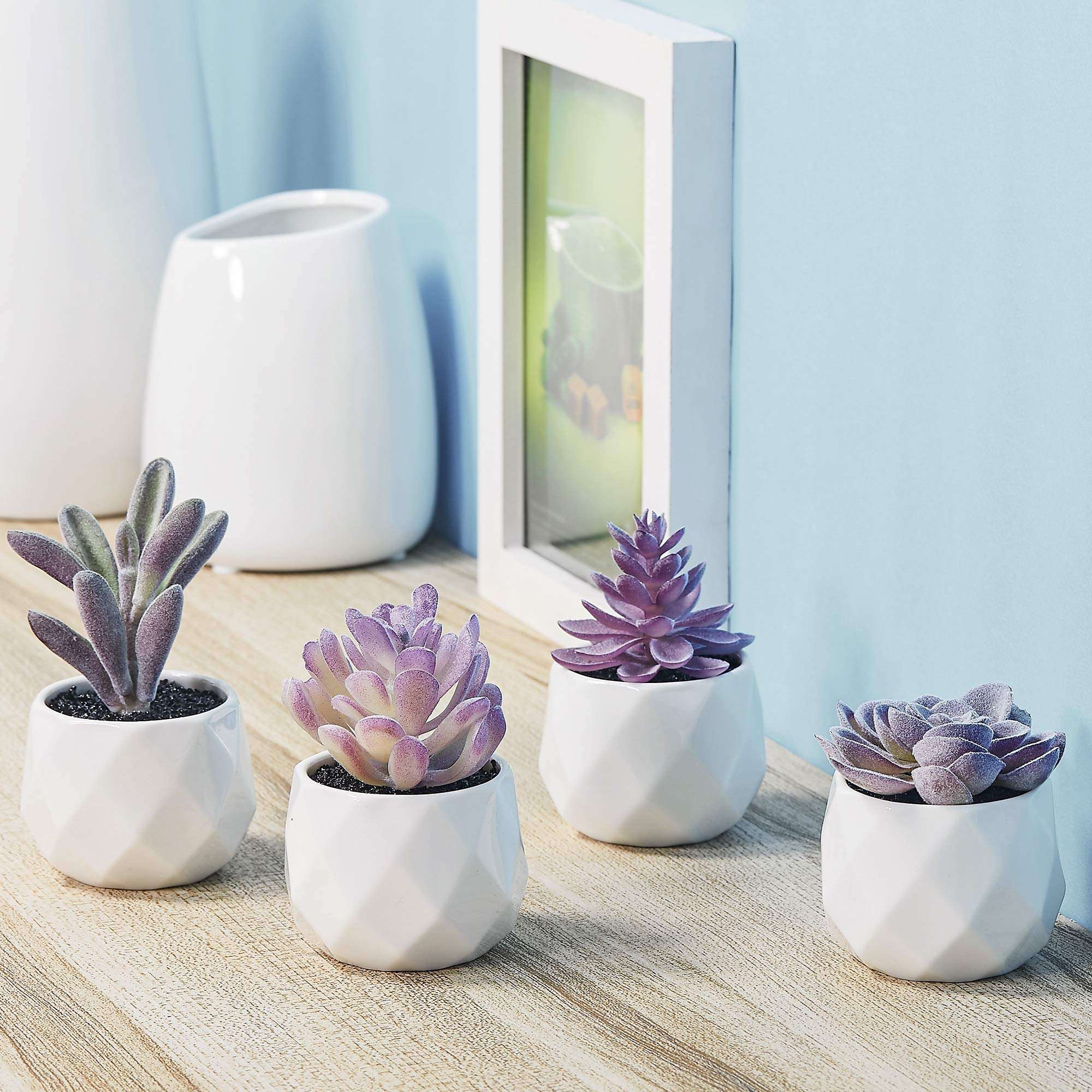 Primrue Fake Succulent Plant Set - Artificial Succulent Plants For ...