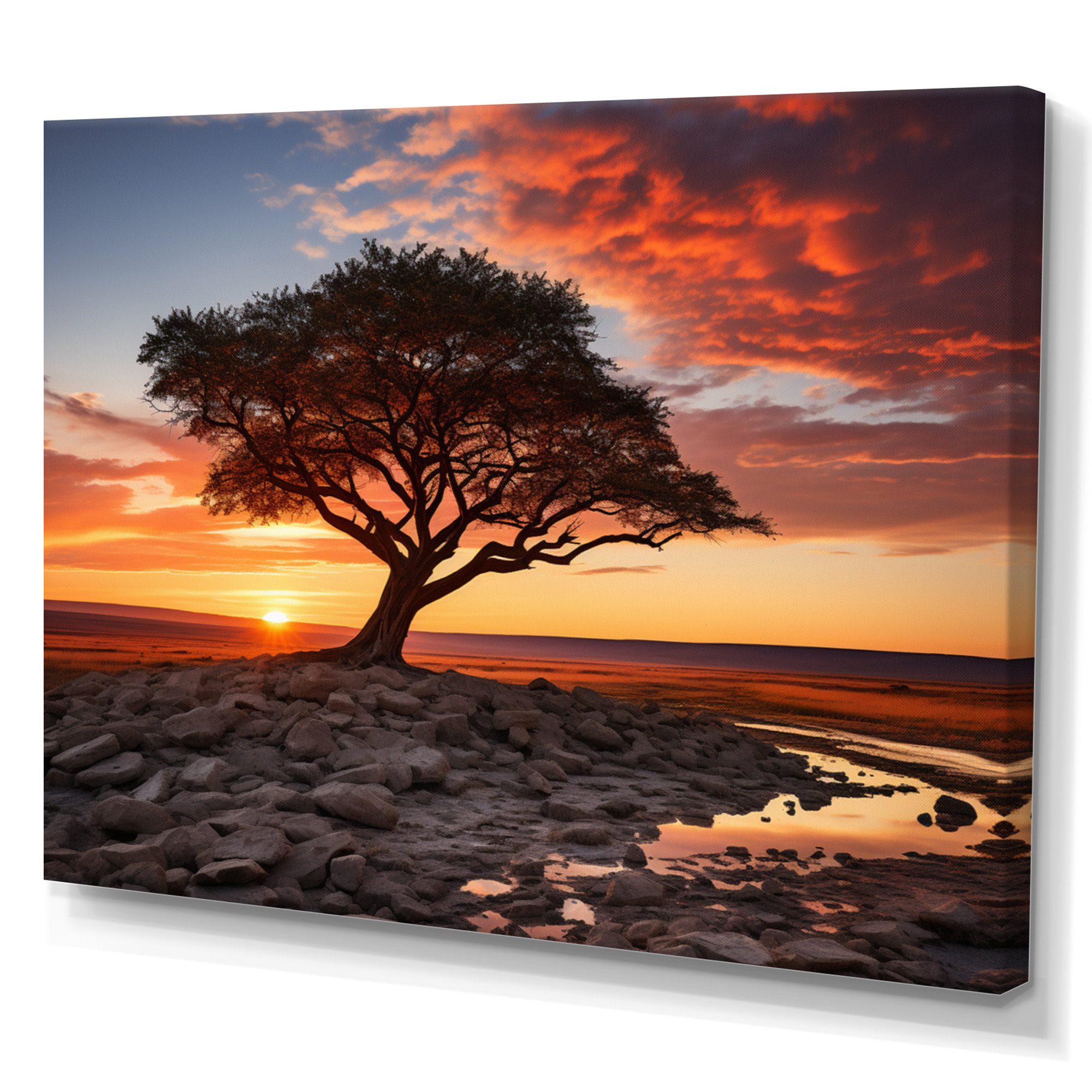Latitude Run® Peach Black Maasai Mara National Reserve Sunset Framed On ...