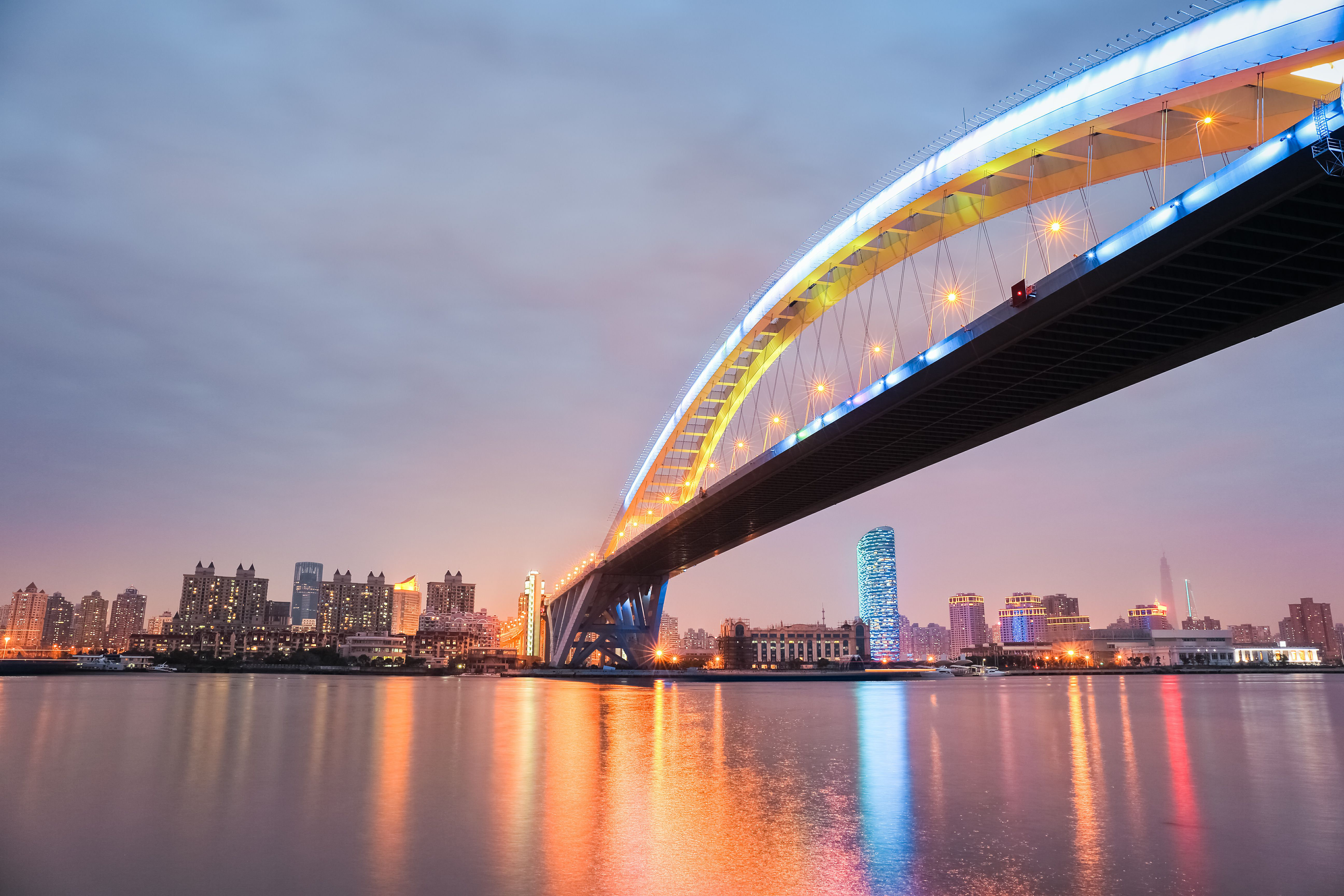 Ebern Designs Shanghai Lupu Bridge | Wayfair