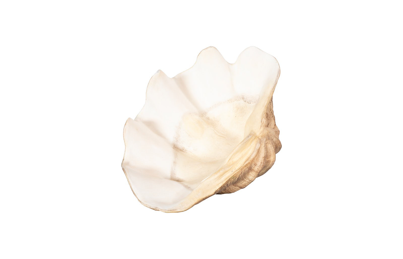 Phillips Collection Unreal Cast Clam Shell Bowl | Perigold