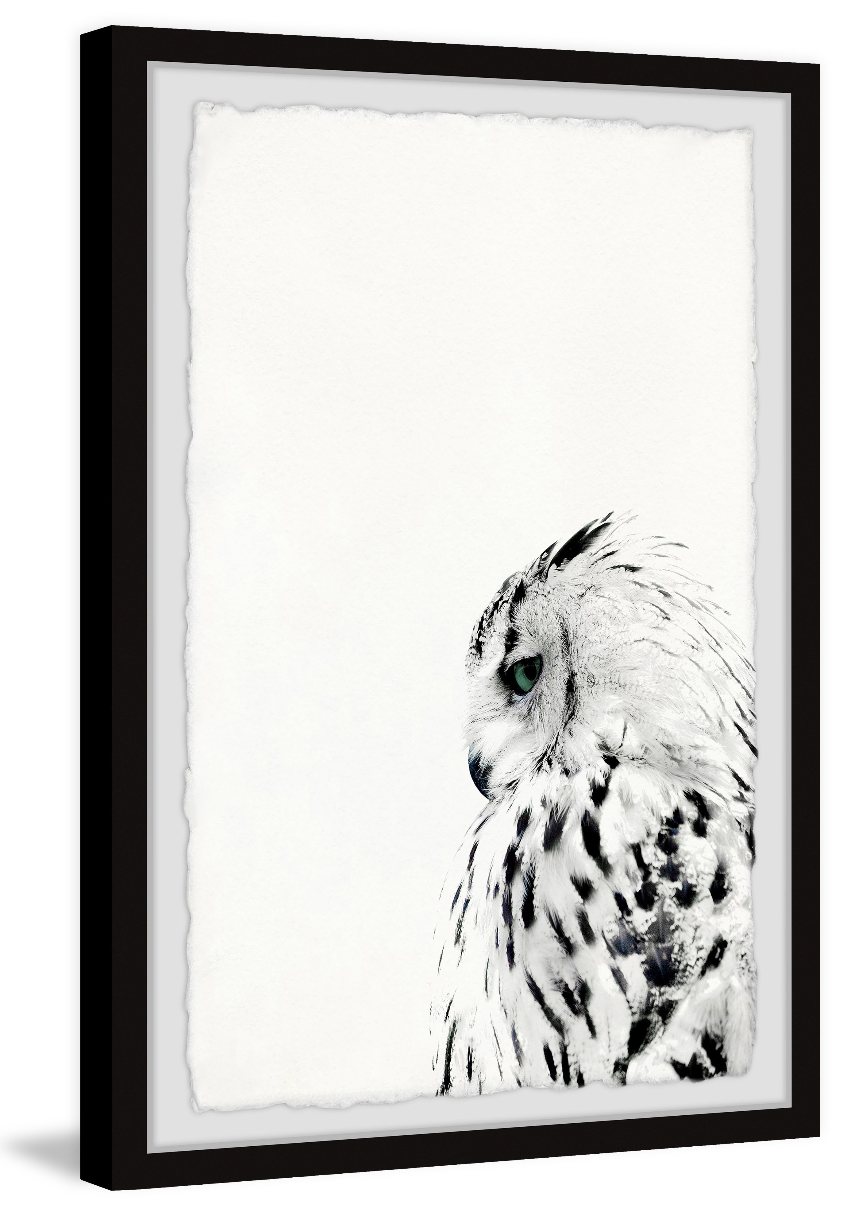 Millwood Pines Steely Gaze II by Maria Giovanni - Picture Frame Graphic ...