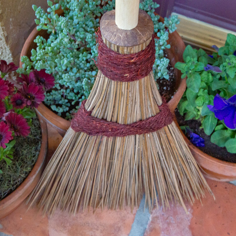 Ultimate Innovations Household Broom & Reviews | Wayfair
