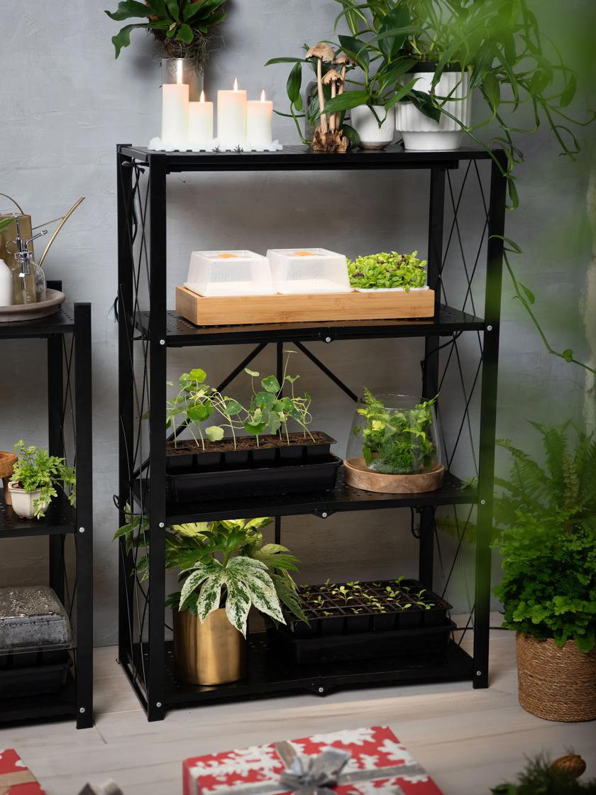 Hokku Designs Folding 3-Tier Grow Shelf with Plant Lights | Wayfair