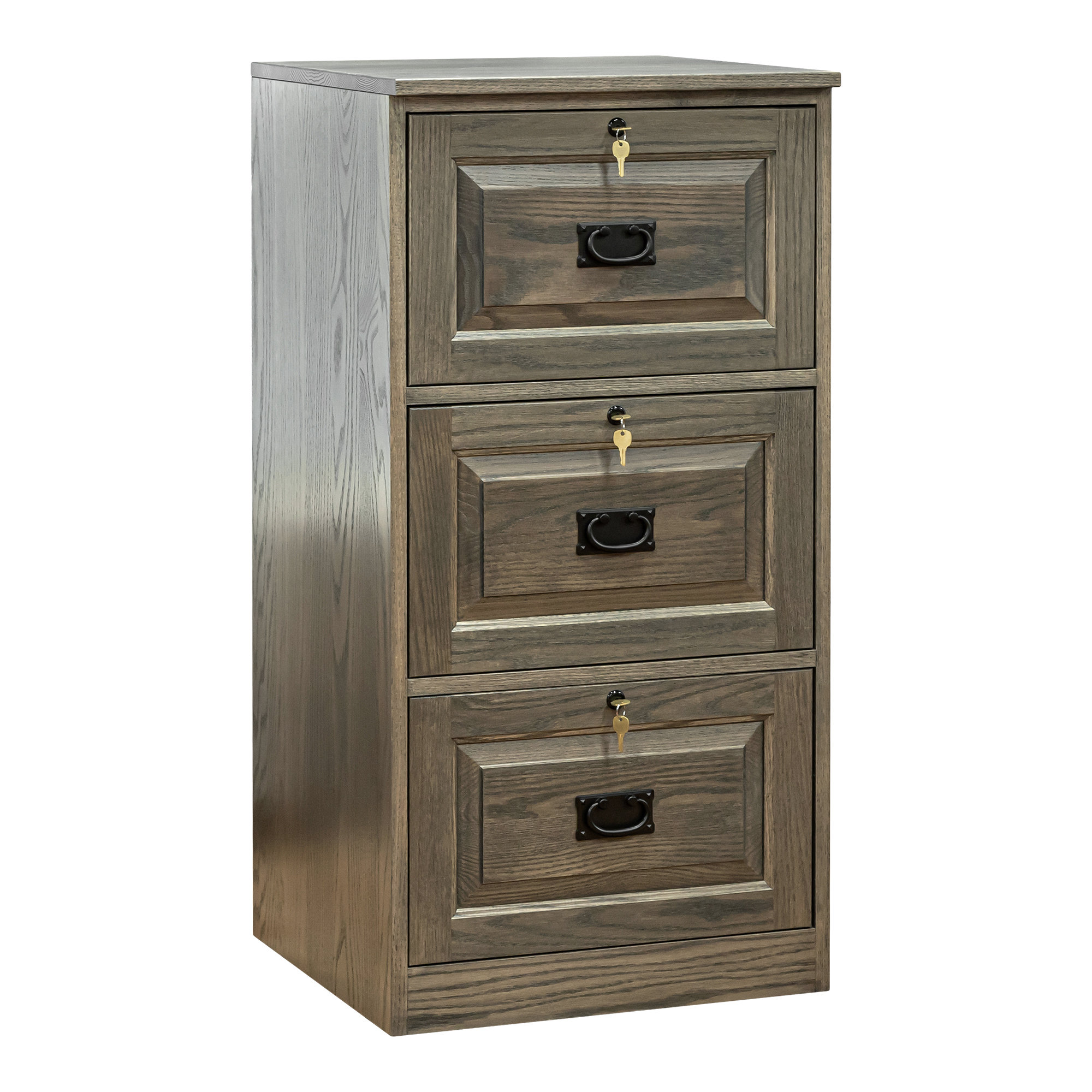Millwood Pines Doory 3-Drawer Vertical Filing Cabinet & Reviews | Wayfair