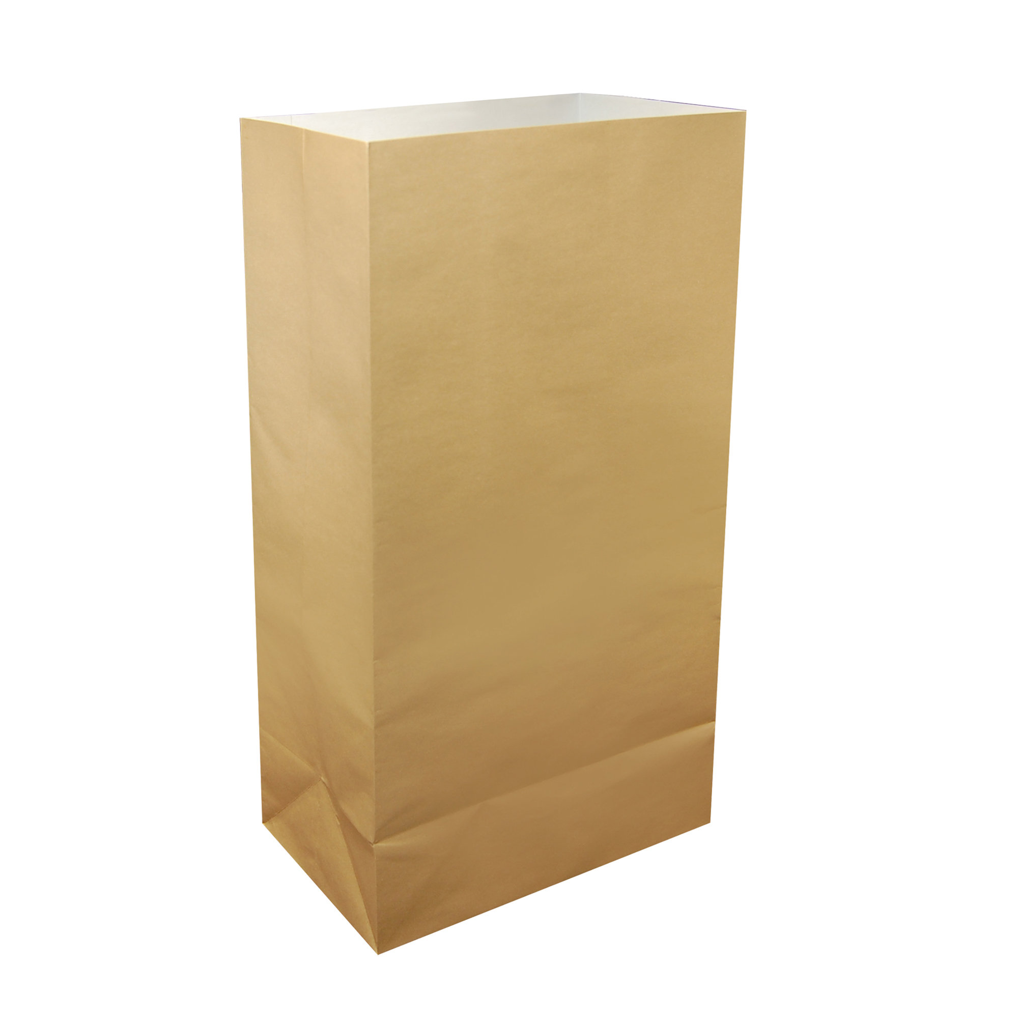 The Holiday Aisle® Paper Luminaria Bags Lantern | Wayfair