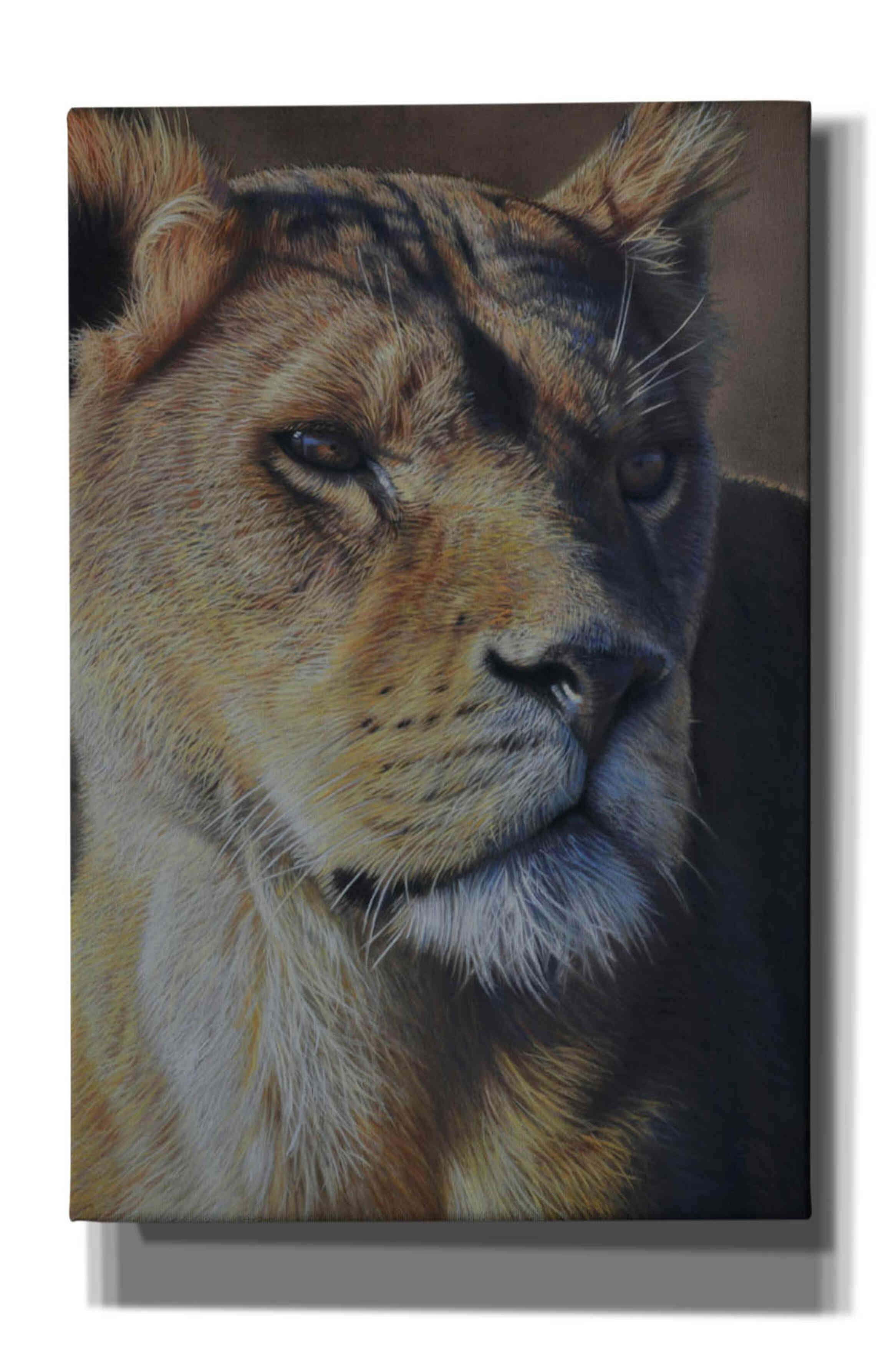 Latitude Run® Nia by Sam Dolman - Wrapped Canvas Print | Wayfair