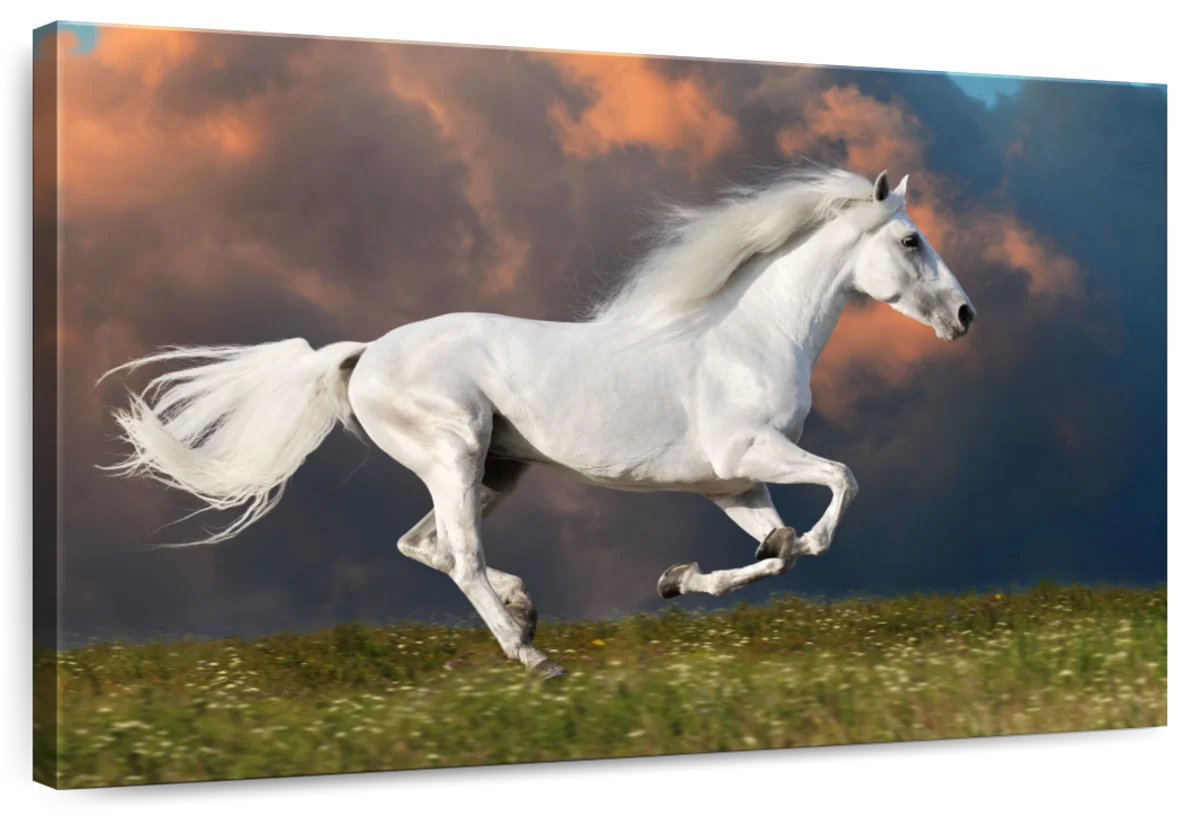 Ebern Designs Crowle Young Horse | Wayfair