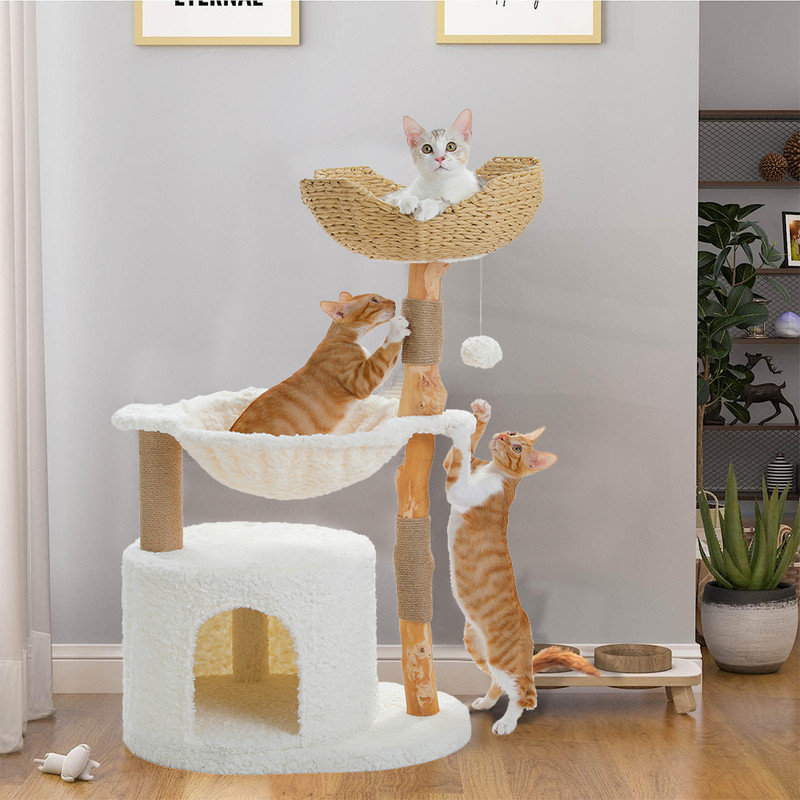 Archie & Oscar™ Natural Solid Wood Cat Forest Castle, Multi-Functional ...