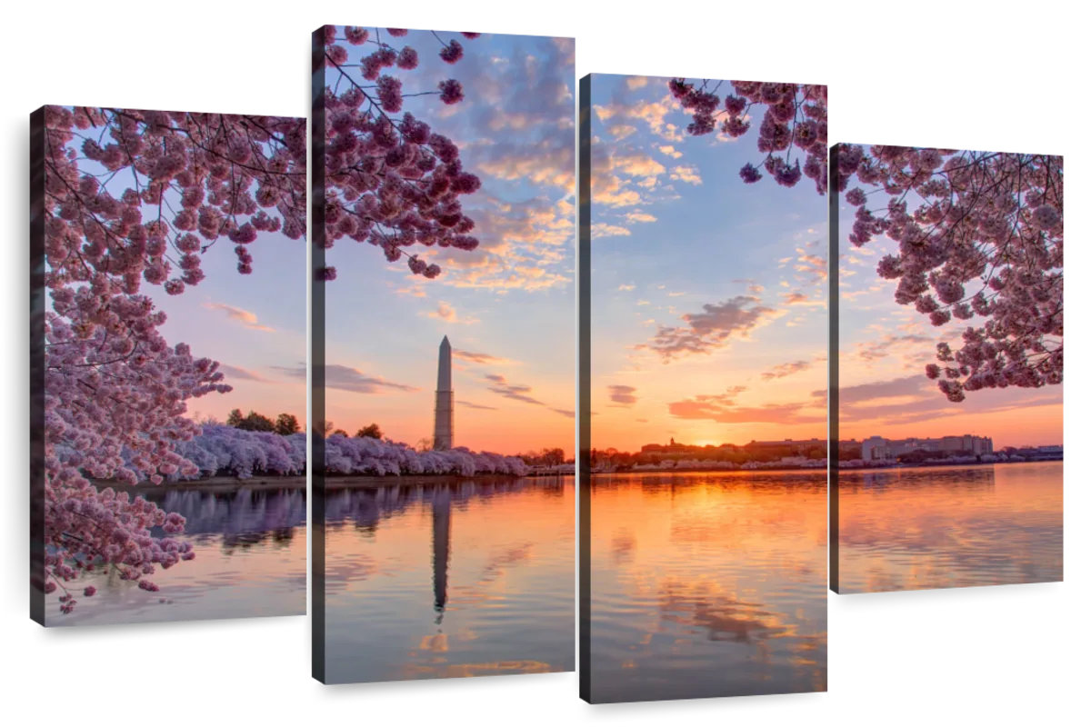Ebern Designs Sireci Washington Spring Sunrise | Wayfair