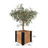 Vita Mezza Wood Planter Box & Reviews - Wayfair Canada
