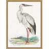 Wendover Art Group Waterbird 1 - Picture Frame Painting on Paper | Wayfair
