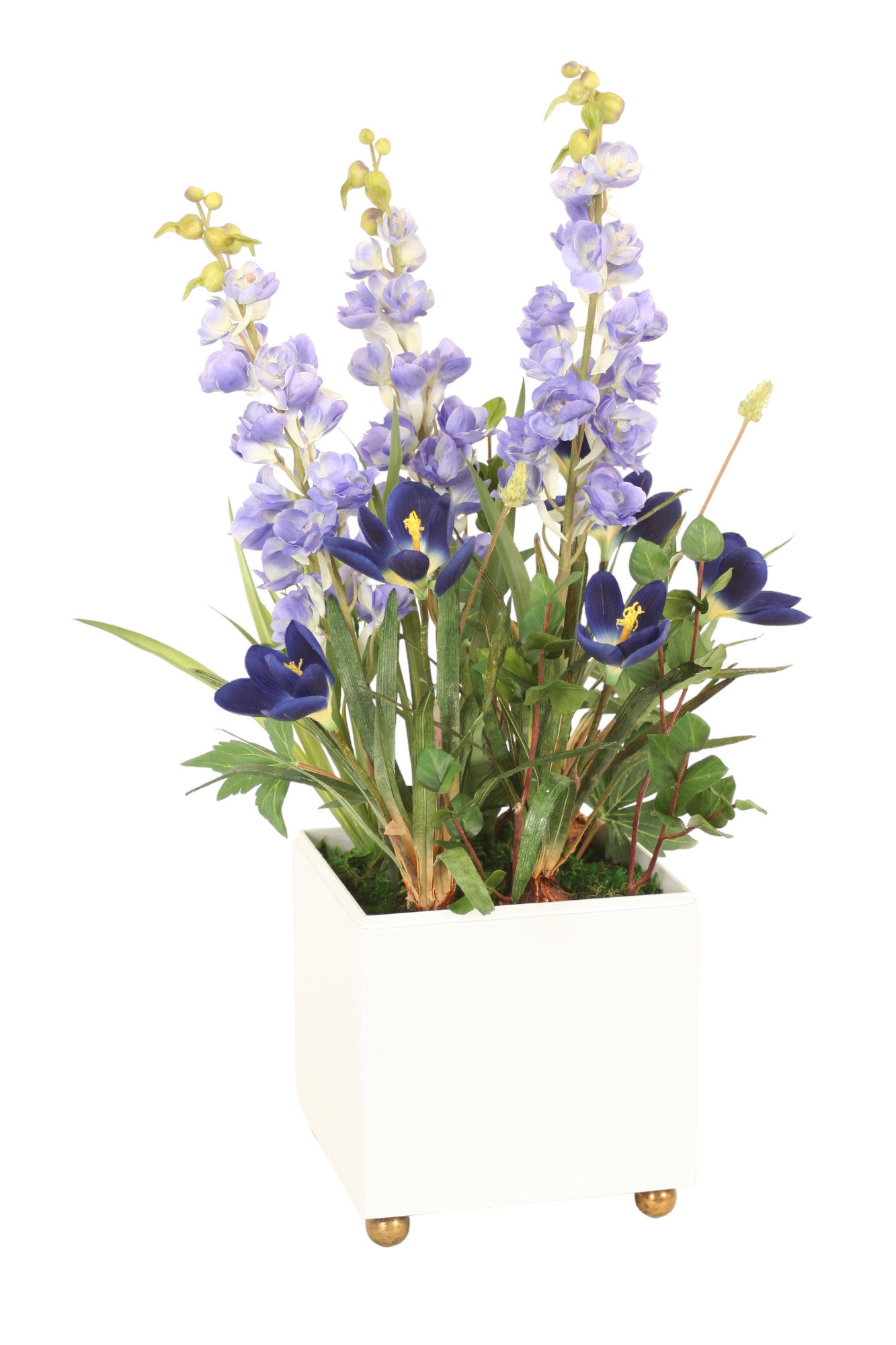 Primrue Blue Delphinium With Blue Crocus Plant And Bougainvillea In ...