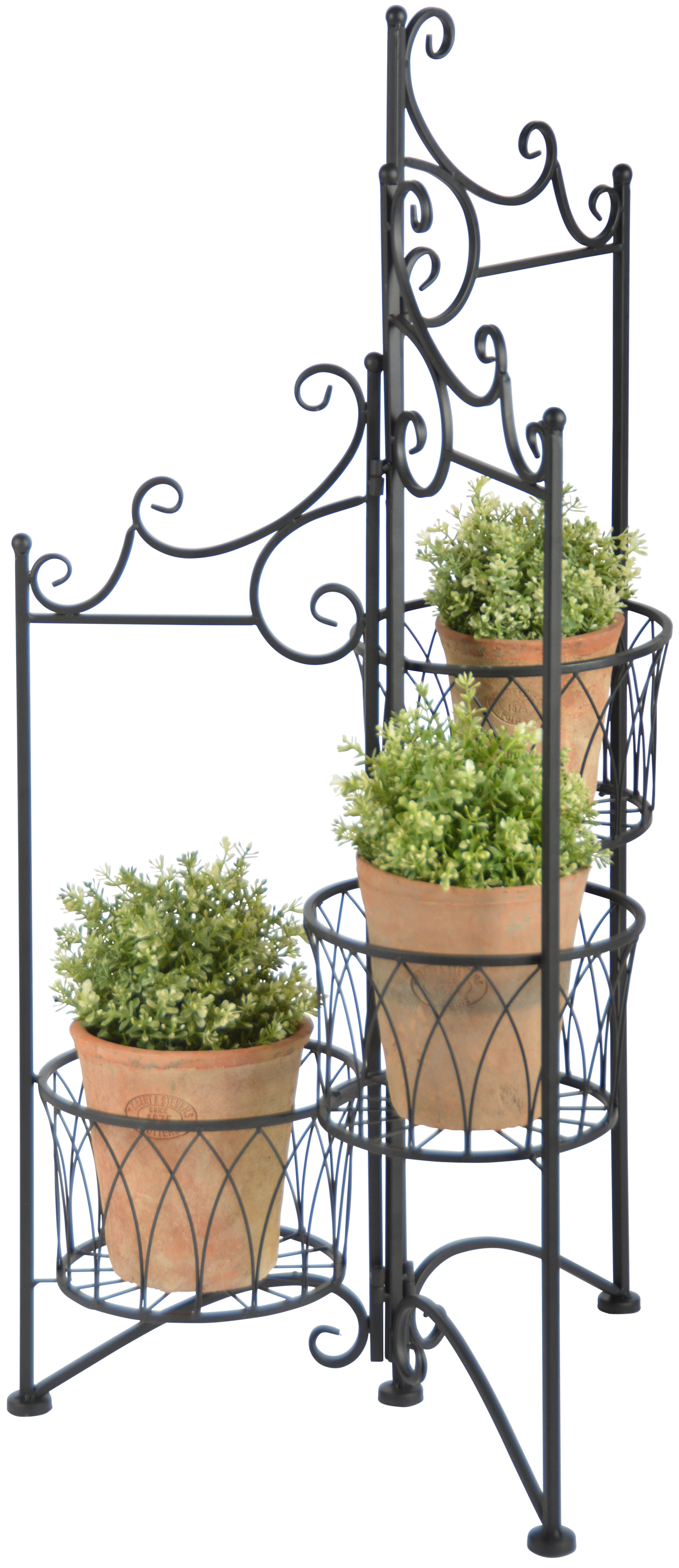 Ophelia & Co. Maddy Folding Triple Pot Plant Stand | Wayfair