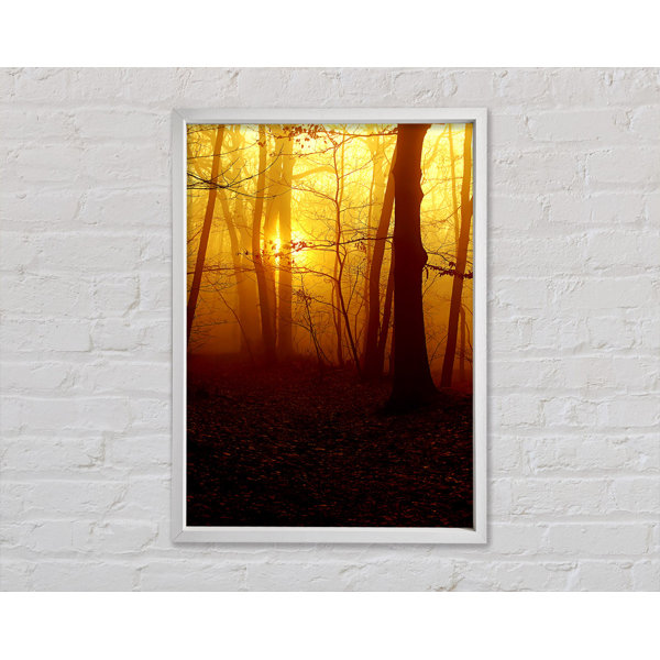 Union Rustic Golden Forest At First Light - Print | Wayfair.co.uk