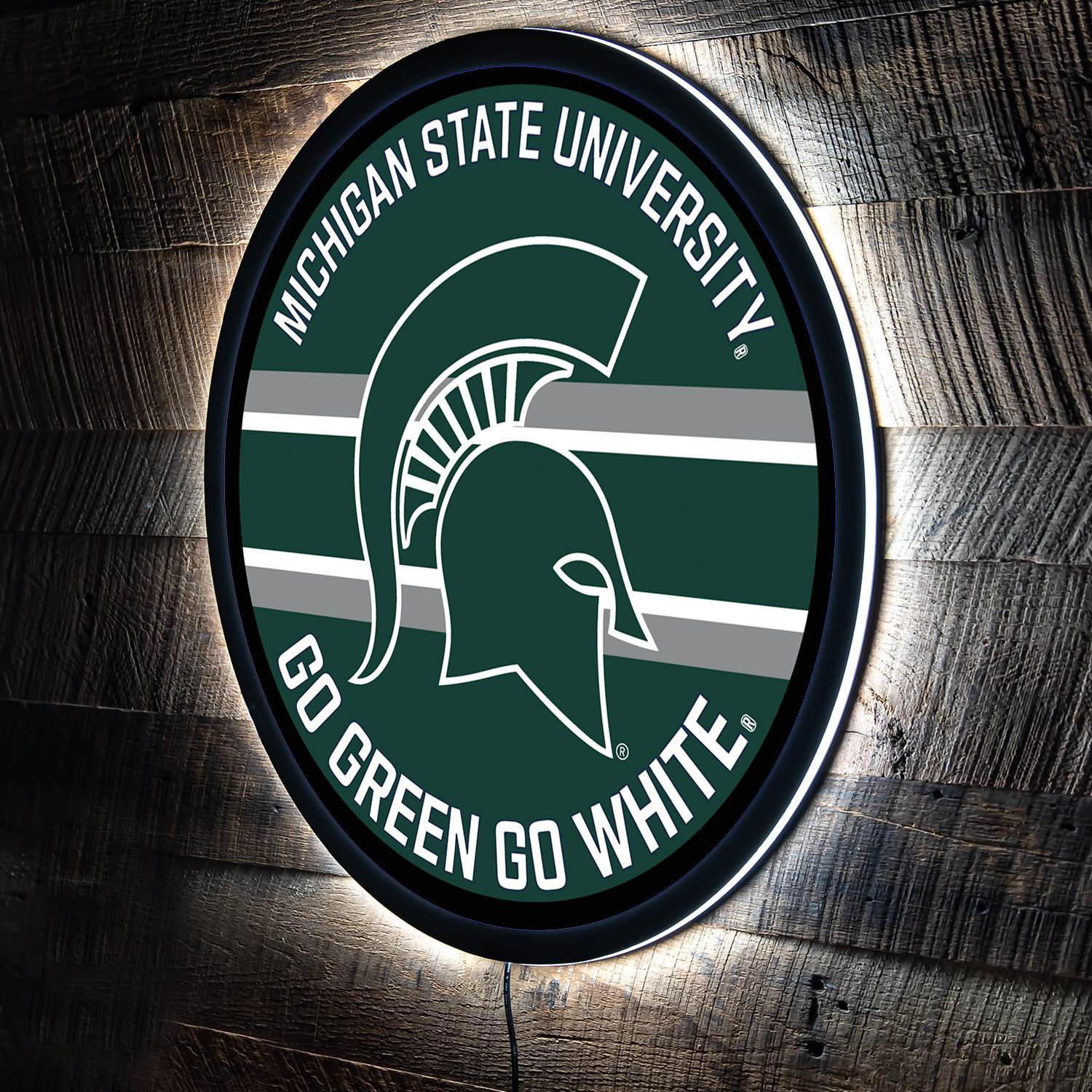 Evergreen Enterprises, Inc Michigan State LED Wall Sign - Wayfair Canada