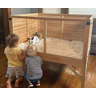 Zylina Raised Guinea Pig & Rabbit House & Reviews | Wayfair