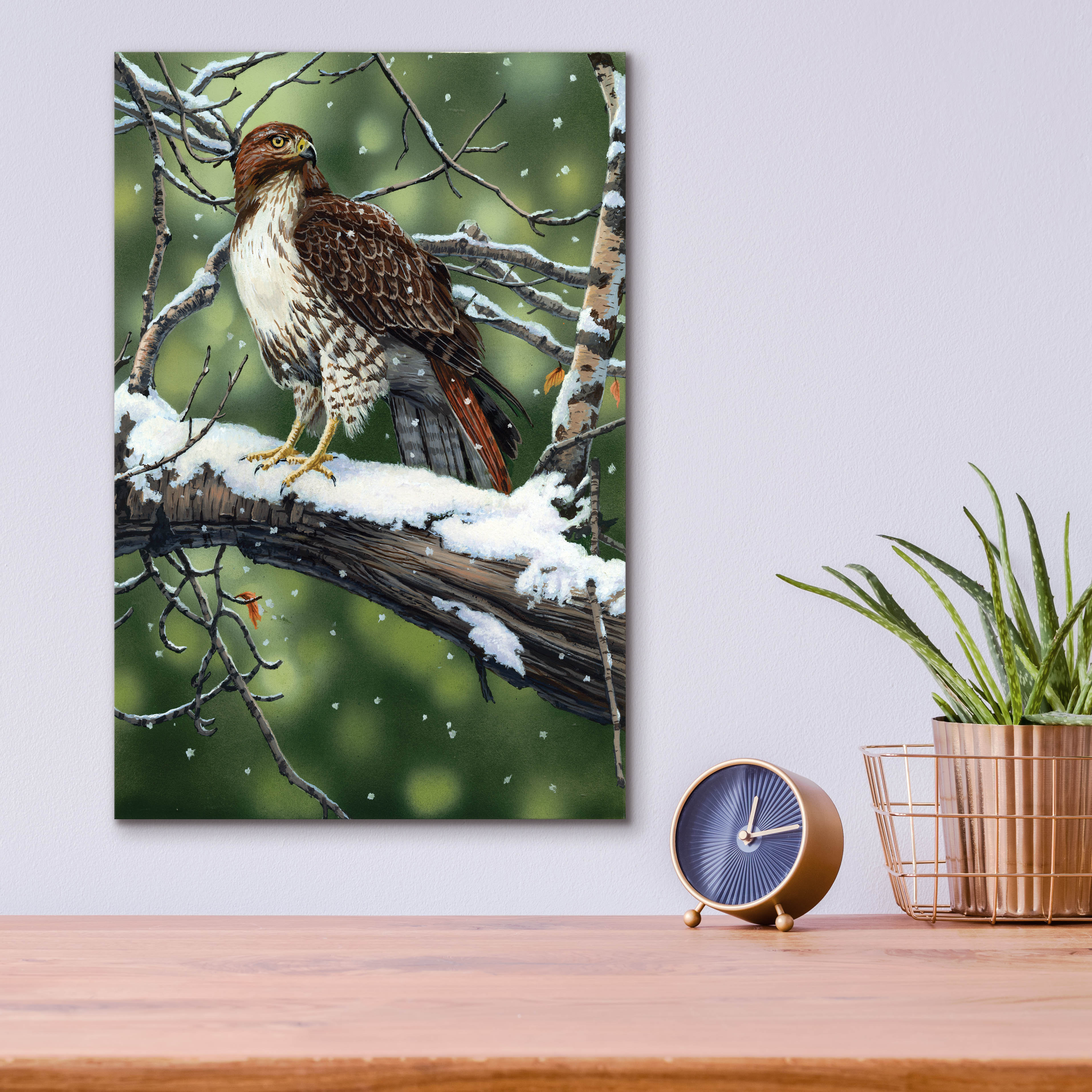 Ebern Designs Red Tailed Hawk' by William Vanderdasson, Acrylic Glass ...