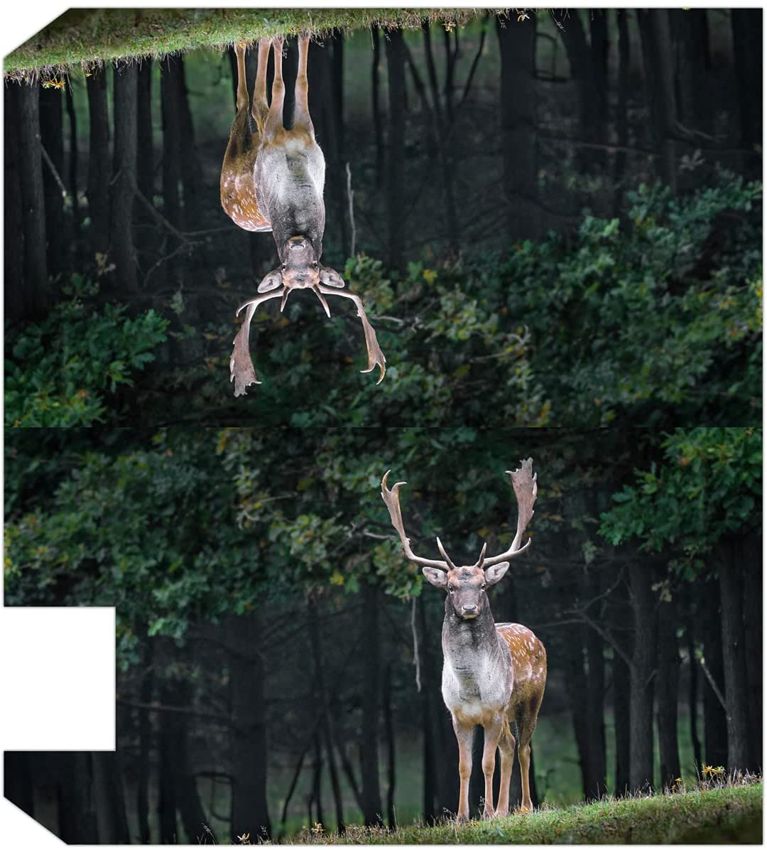VWAQ Deer Mailbox Covers Magnetic Wilderness Animals Decor - MBM42 ...